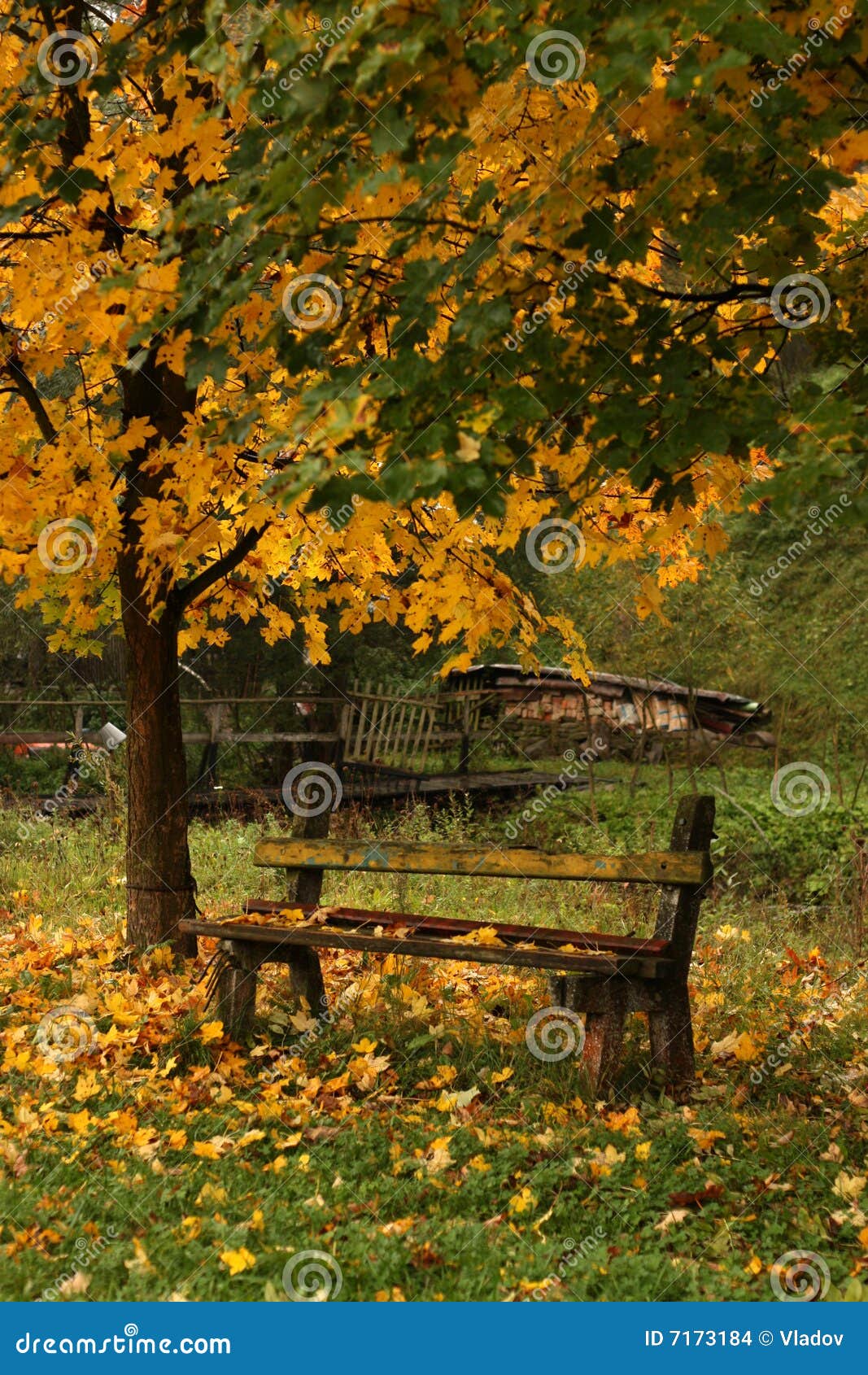 Countryside Bench in Autumn Stock Photo - Image of landscape, contry ...