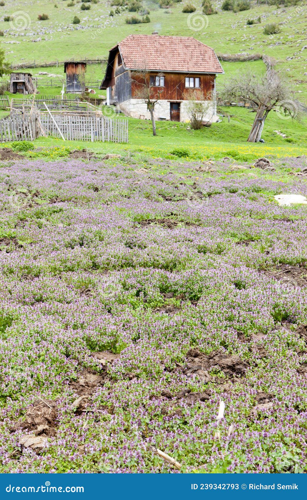 Countryside, Bosnia and Hercegovina Stock Image - Image of balkan ...