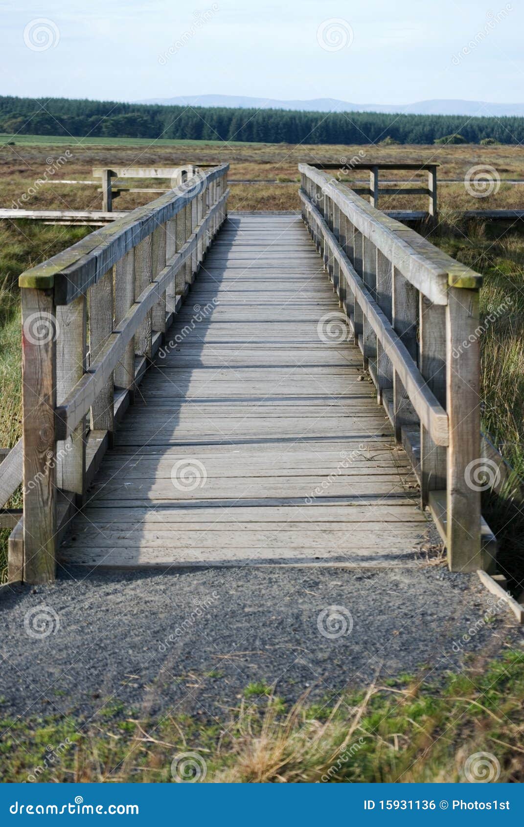 Countryside bridge stock photo. Image of summer, field - 15931136