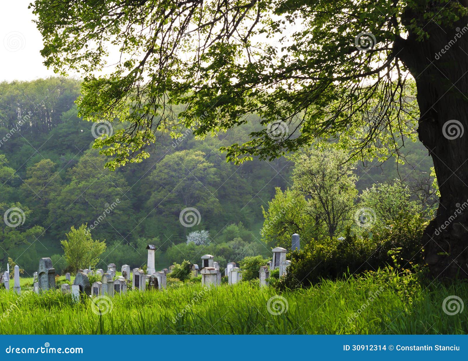 Countryside cemetery stock photo. Image of lawn, field - 30912314