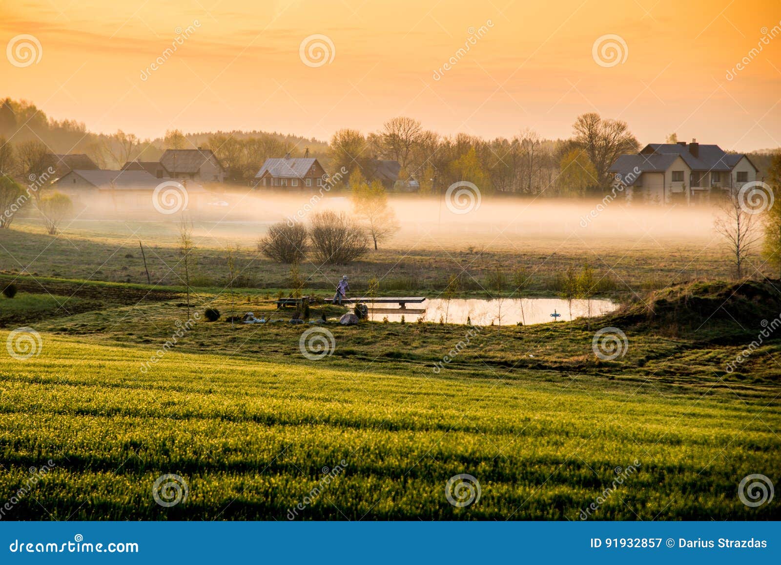 Countryside at dawn stock image. Image of morning, scenery - 91932857