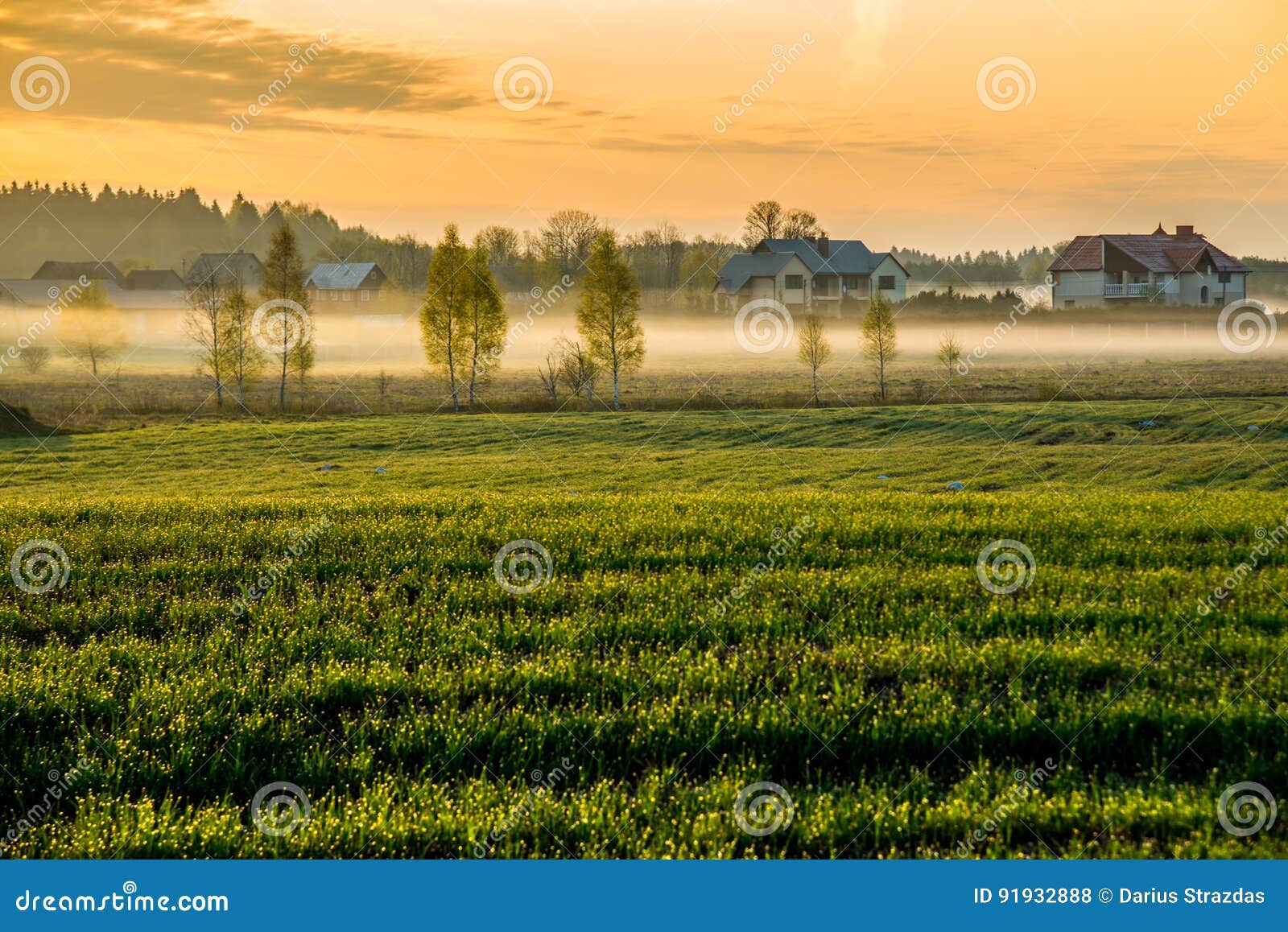 Countryside at dawn stock photo. Image of scenic, lithuanian - 91932888