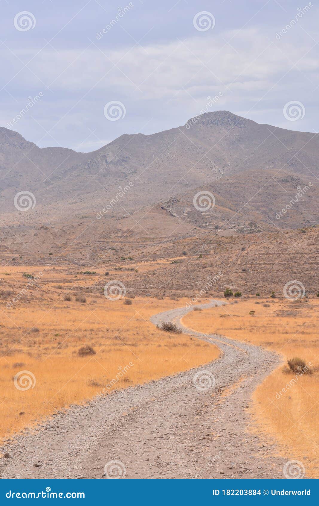 Desert Dirt Path stock photo. Image of offroad, road - 182203884