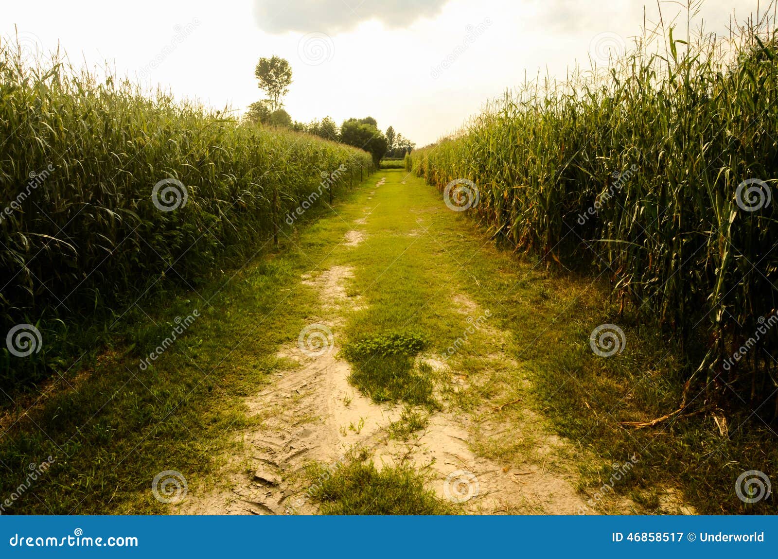 Countryside Dirty Road stock image. Image of road, path - 46858517