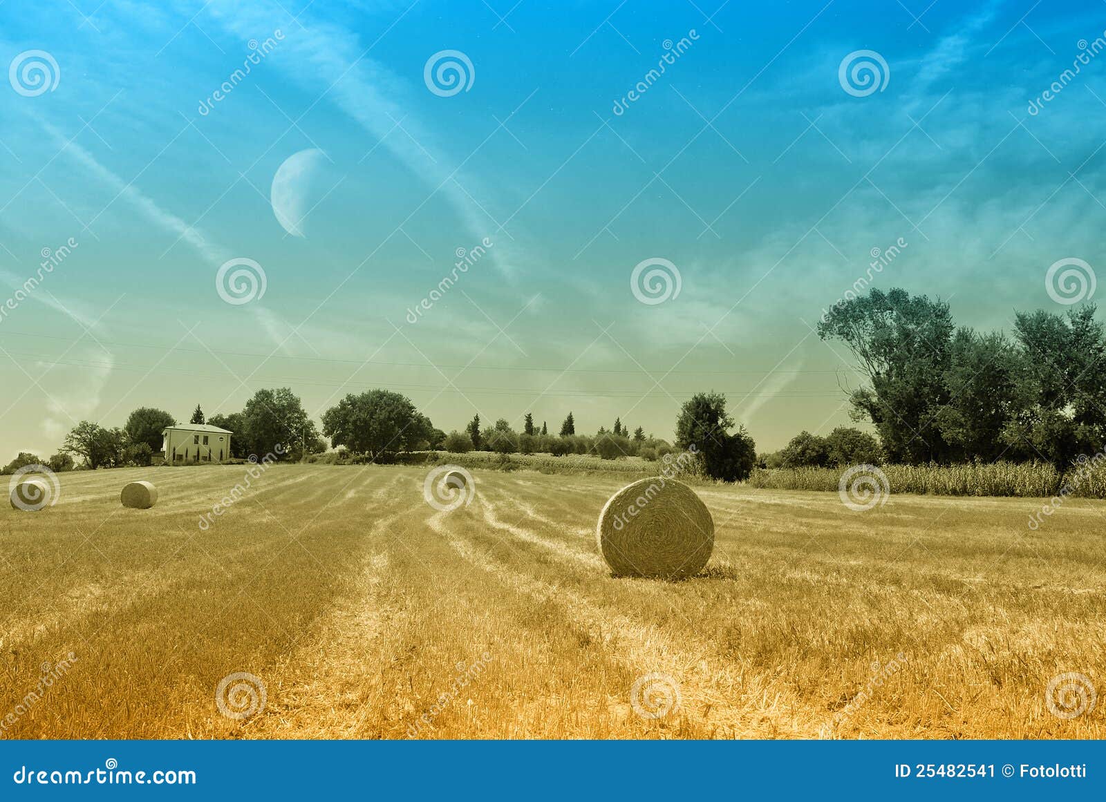 Countryside at the dusk stock image. Image of growing - 25482541