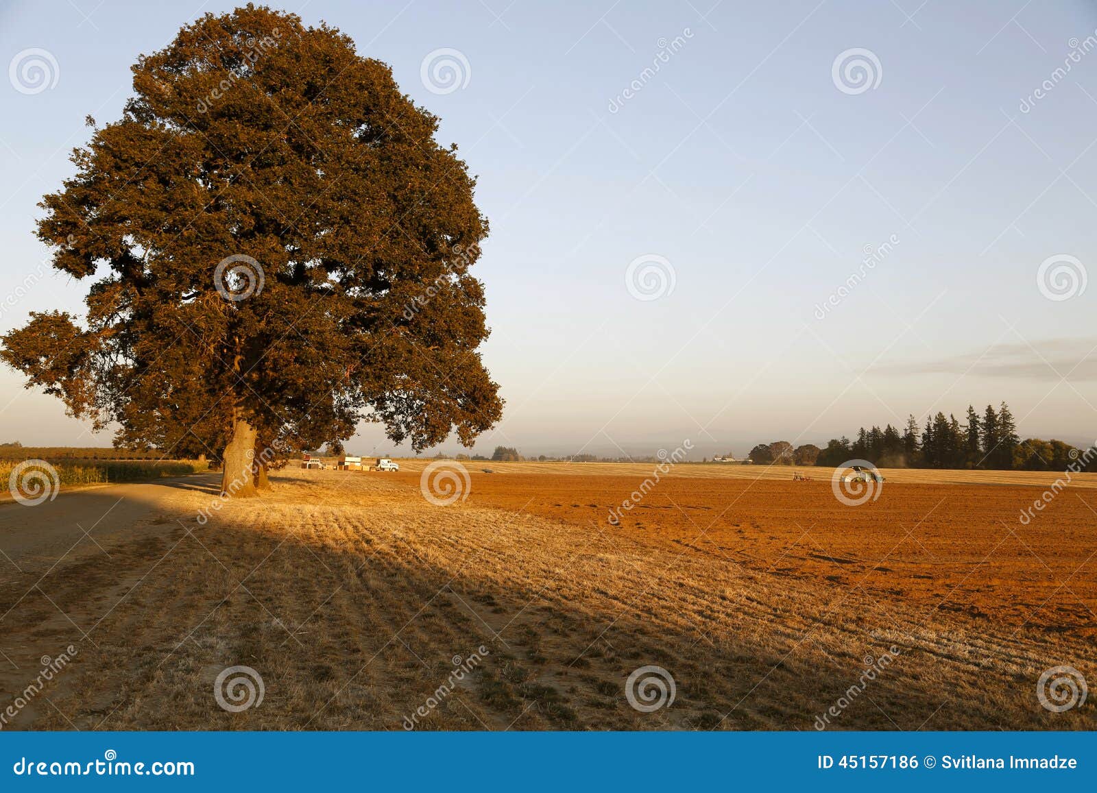Countryside in the Fall stock photo. Image of nature - 45157186