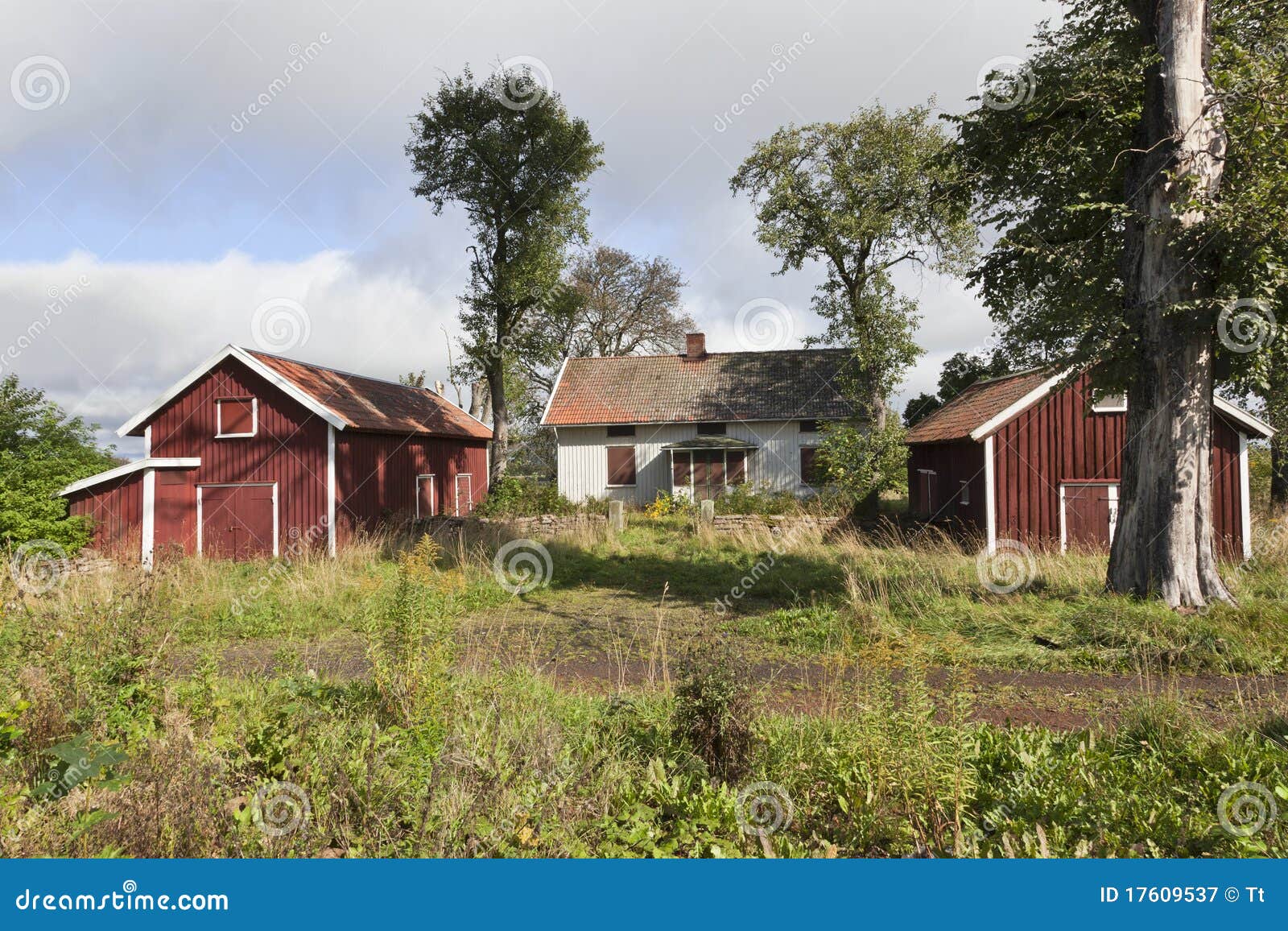 Countryside farm stock image. Image of farm, nature, tree - 17609537
