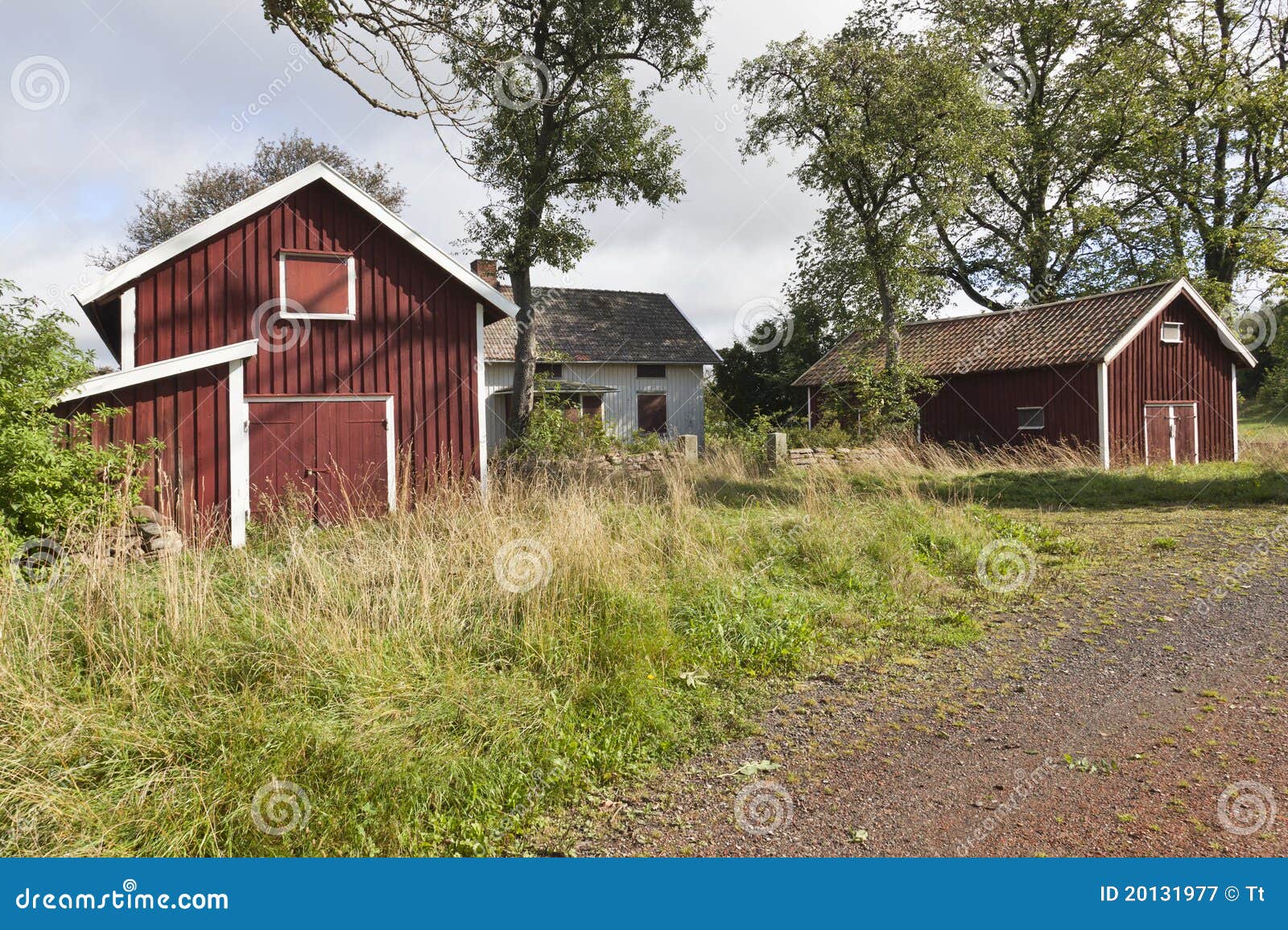 Countryside farm stock image. Image of single, road, rural - 20131977