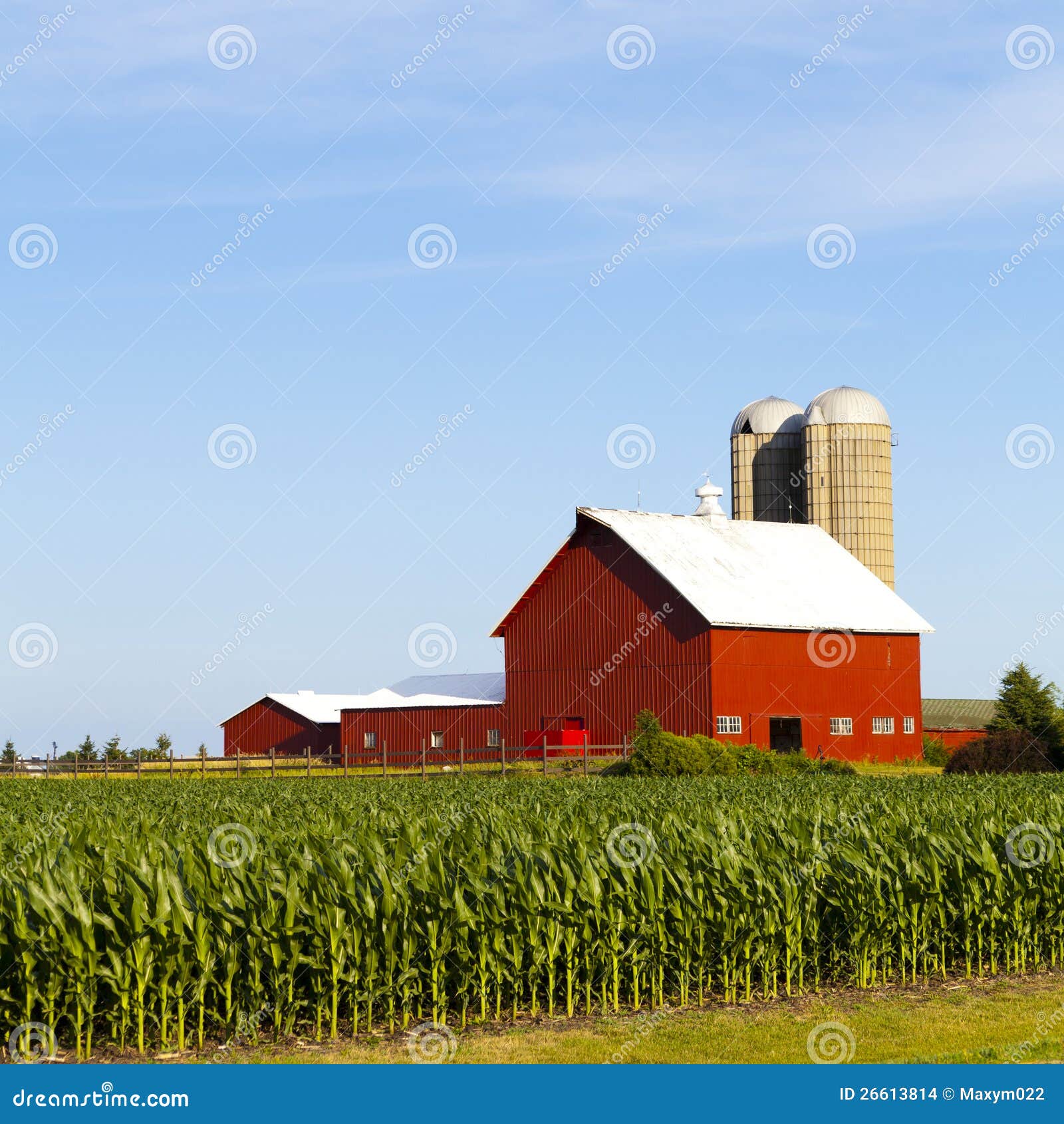 Countryside Farm stock photo. Image of field, crop, agricultural - 26613814