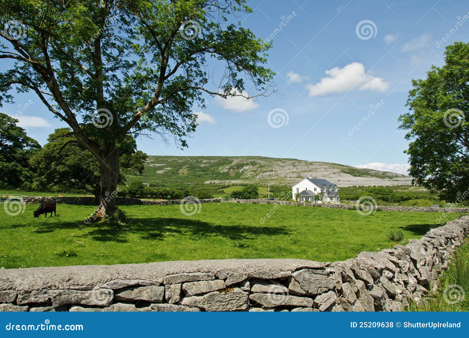 Countryside Farm House Landscape Stock Photo - Image of horse, farmland ...