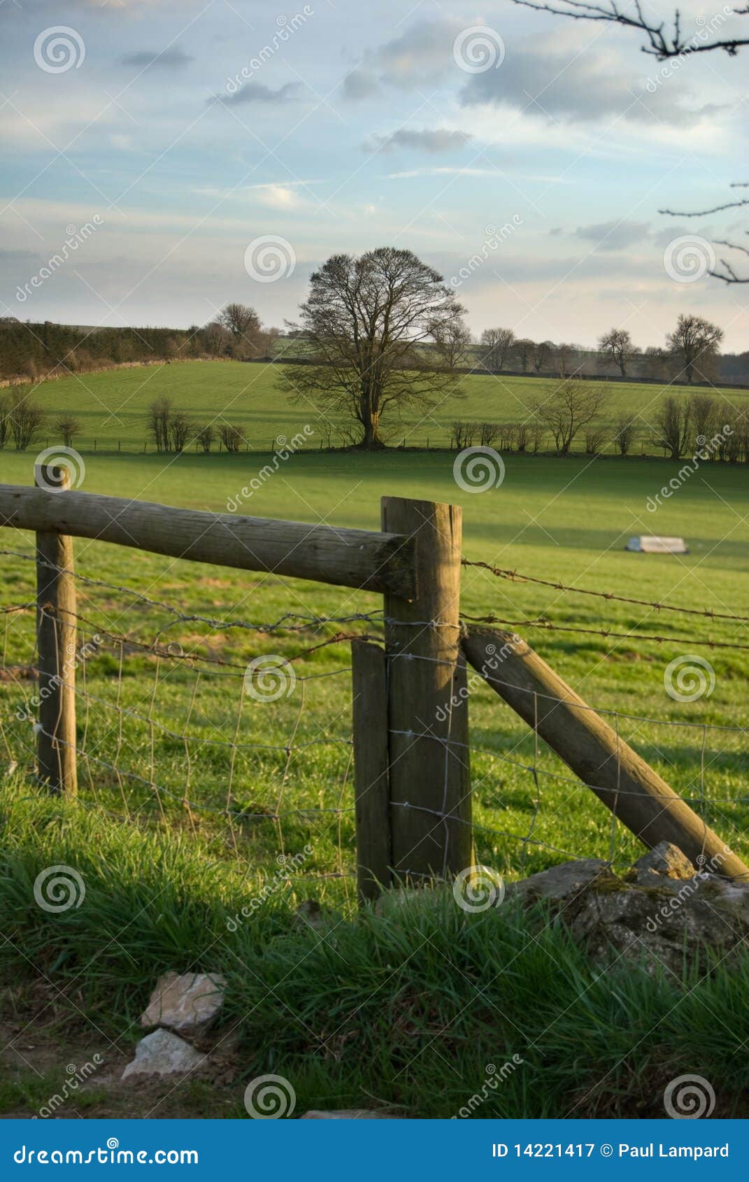 Countryside Field Landscape Stock Image - Image of field, land: 14221417