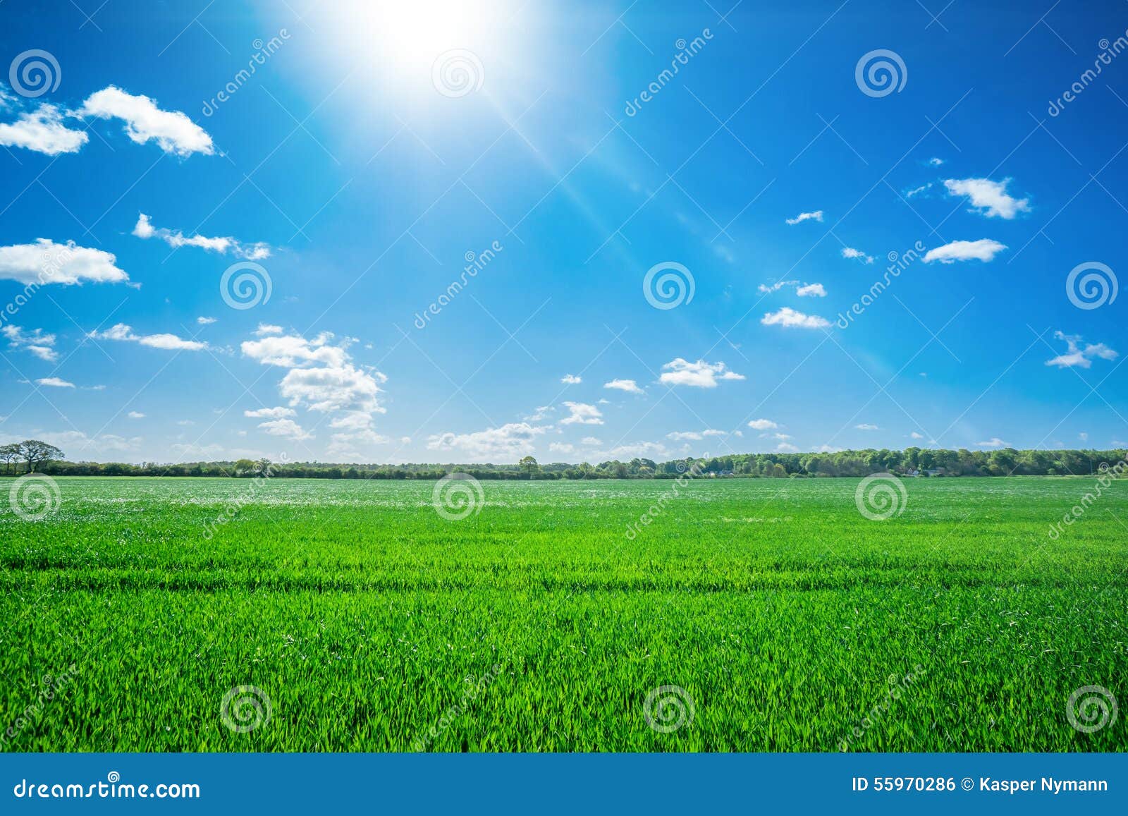 Countryside Field with Sunshine Stock Photo - Image of nature ...