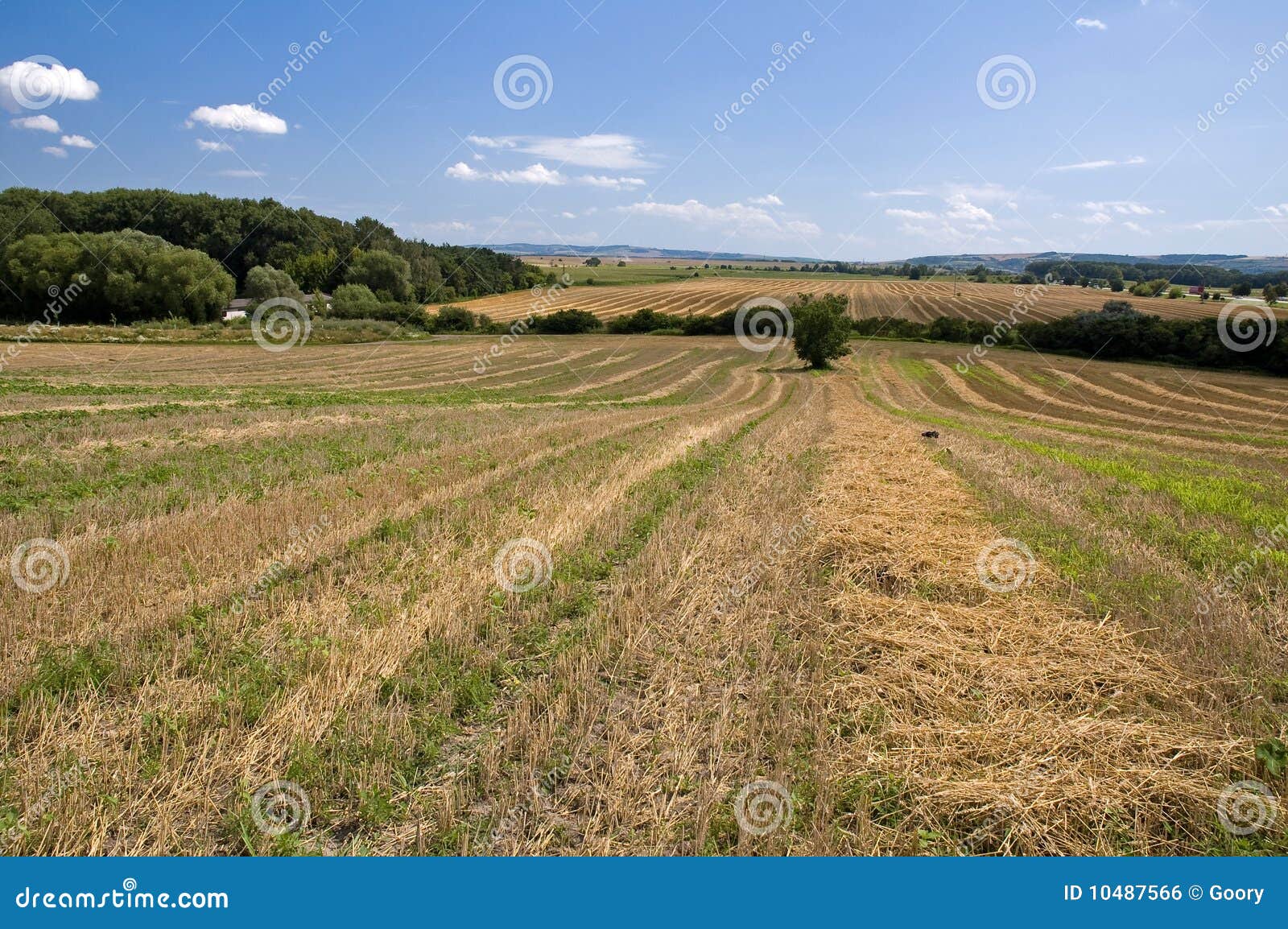 Countryside Fields Landscape Stock Photo - Image of scenery, outdoors ...