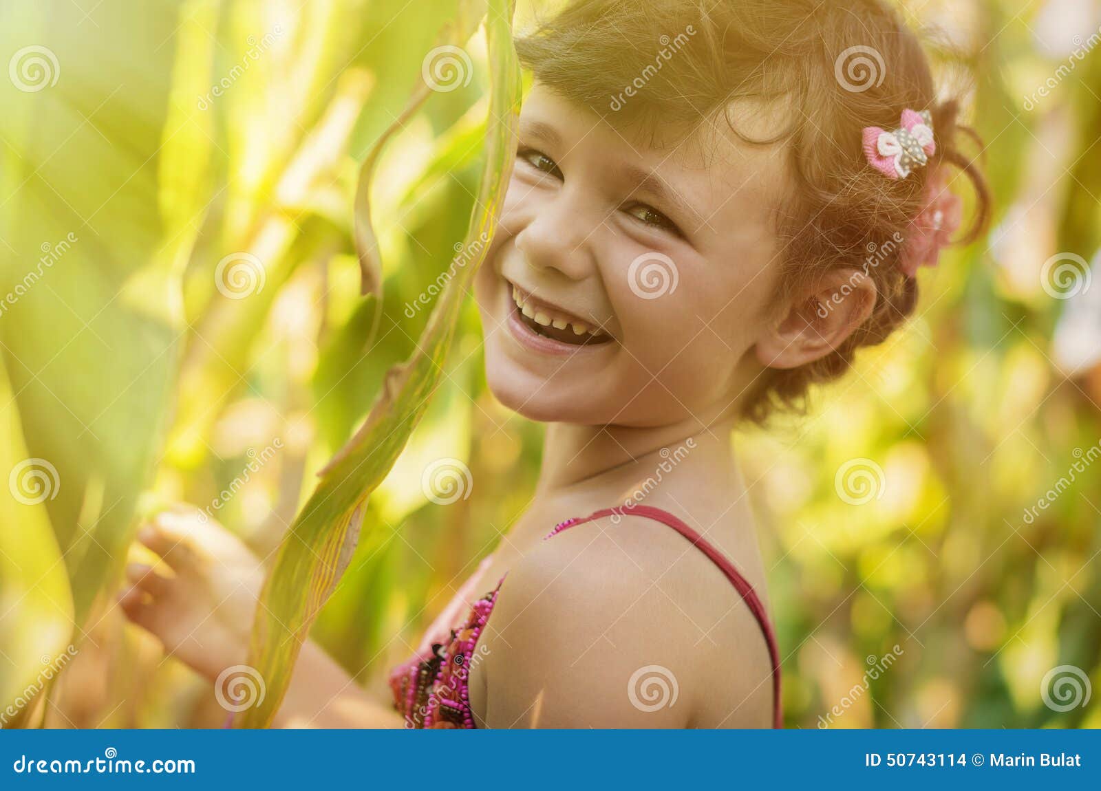 Countryside Girl in Corn Field Stock Photo - Image of calmness, play ...
