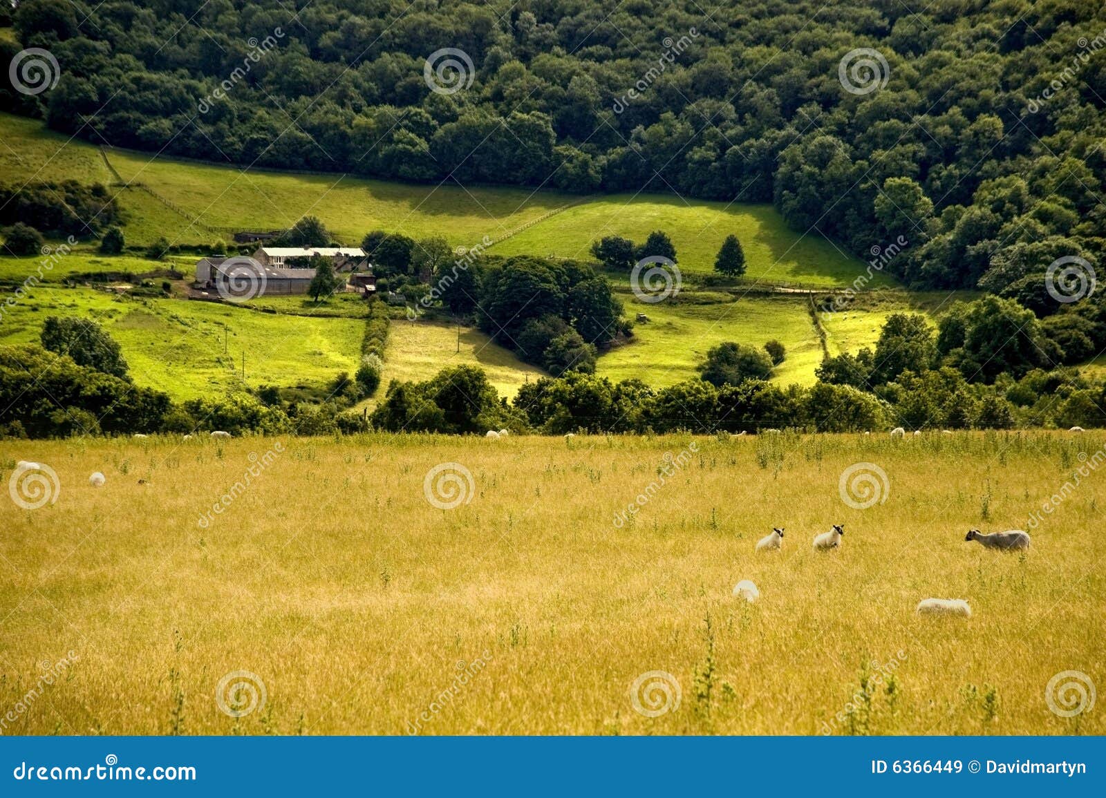 Countryside hills stock image. Image of country, hill - 6366449