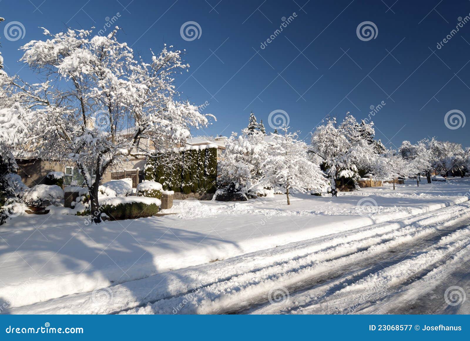 Countryside Homes Covered by Snow Stock Image - Image of houses, trees ...