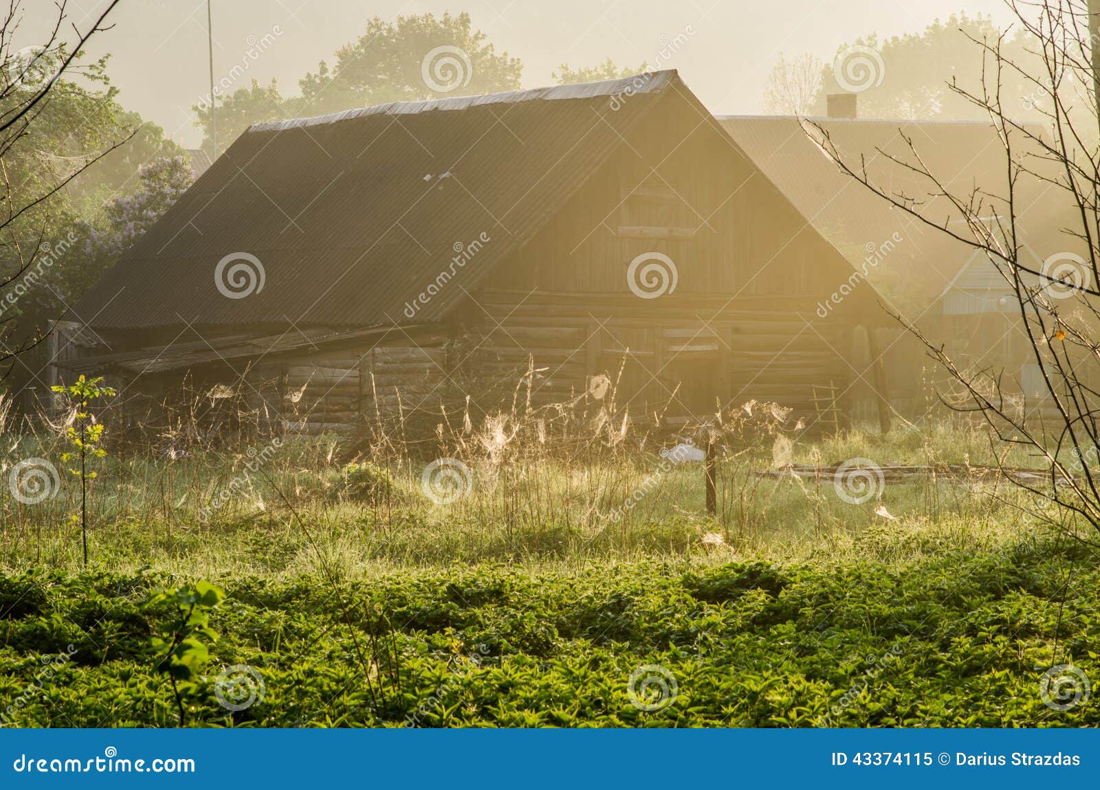 Countryside house stock image. Image of tree, grass, misty - 43374115