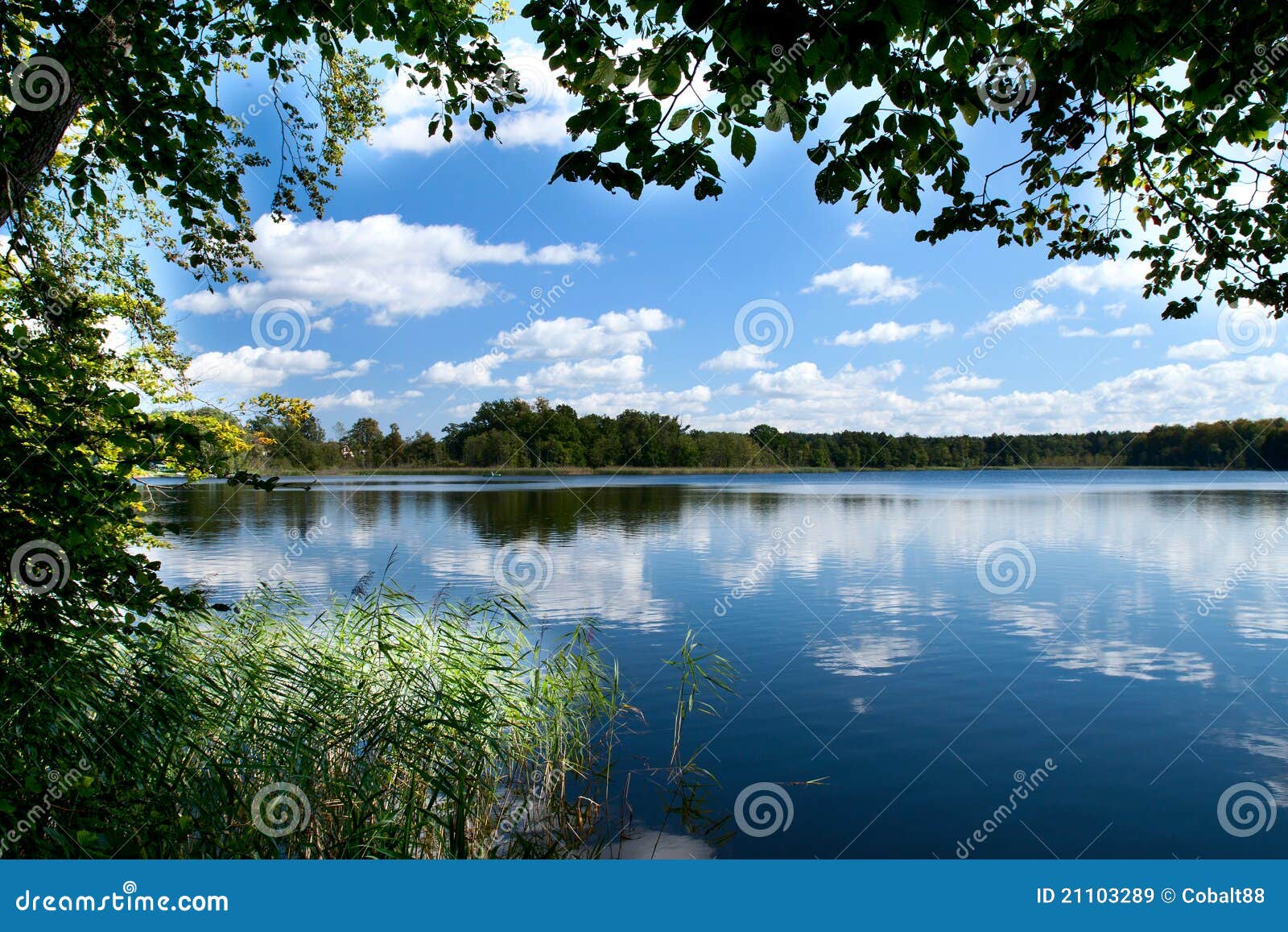 Countryside lake stock image. Image of summer, agriculture - 21103289