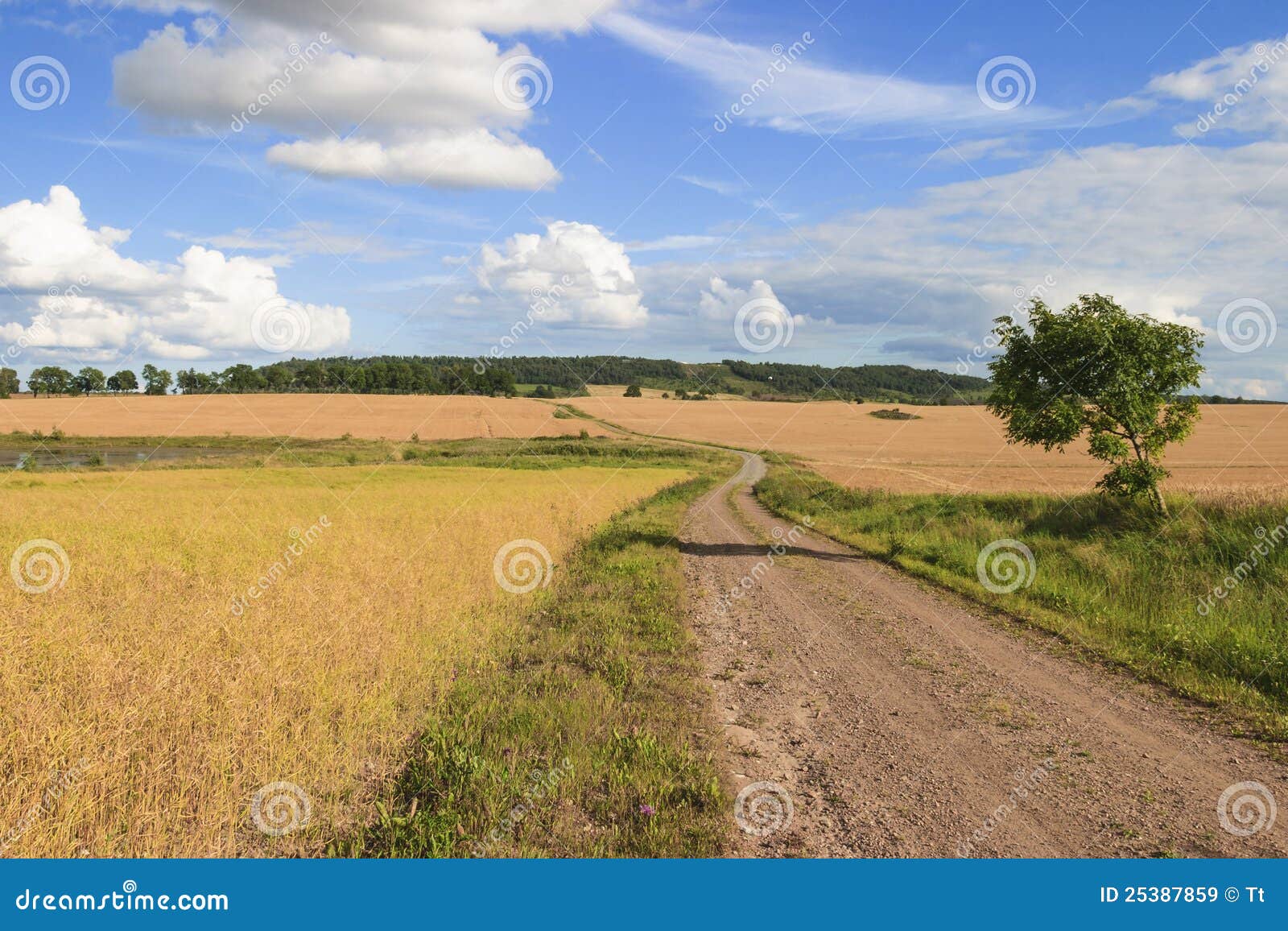 Countryside landscape stock image. Image of meadow, beauty - 25387859