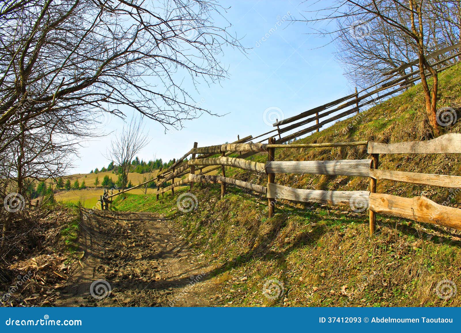 Countryside stock image. Image of feed, campeni, economy - 37412093