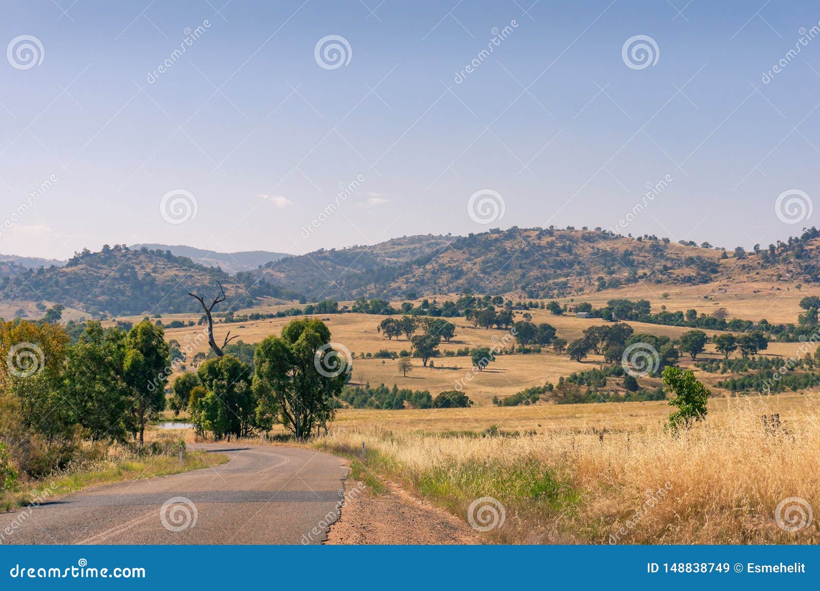 Countryside Landscape with Empty Road and Outback Fields Stock Image ...