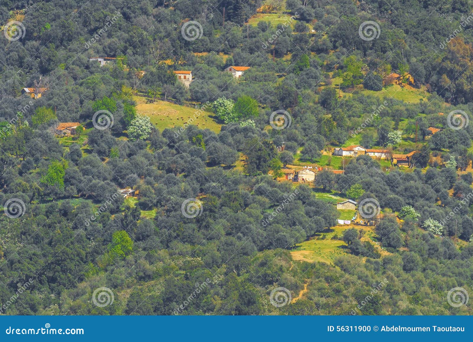Countryside stock photo. Image of fire, ancer, empty - 56311900