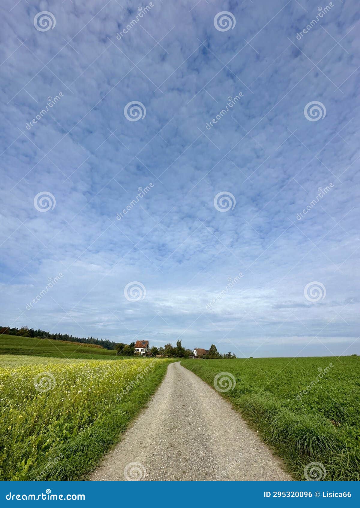 Countryside Landscape with House Fields and Road Stock Photo - Image of ...