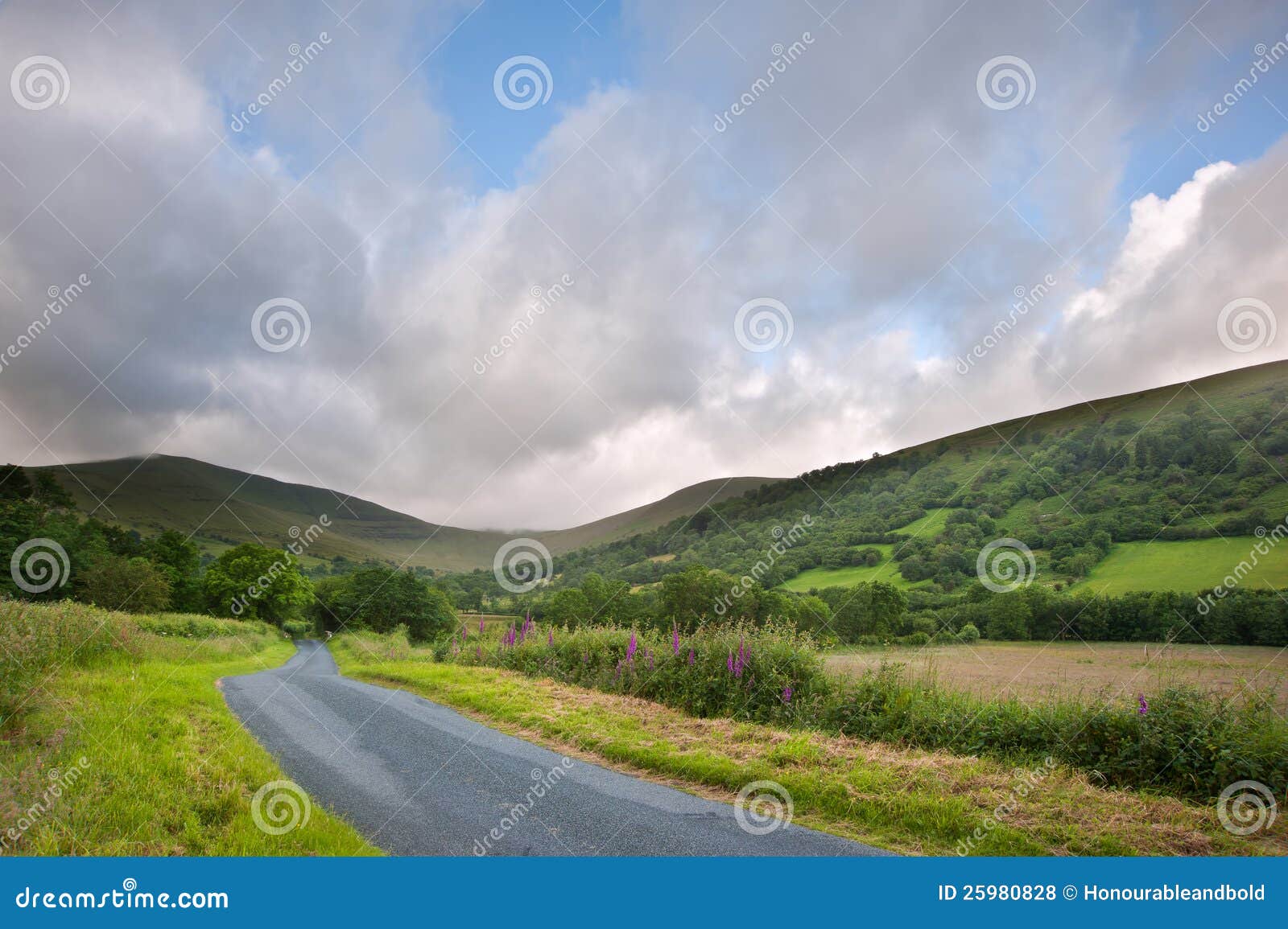 Countryside Landscape Panorama Stock Photo - Image of season, british ...