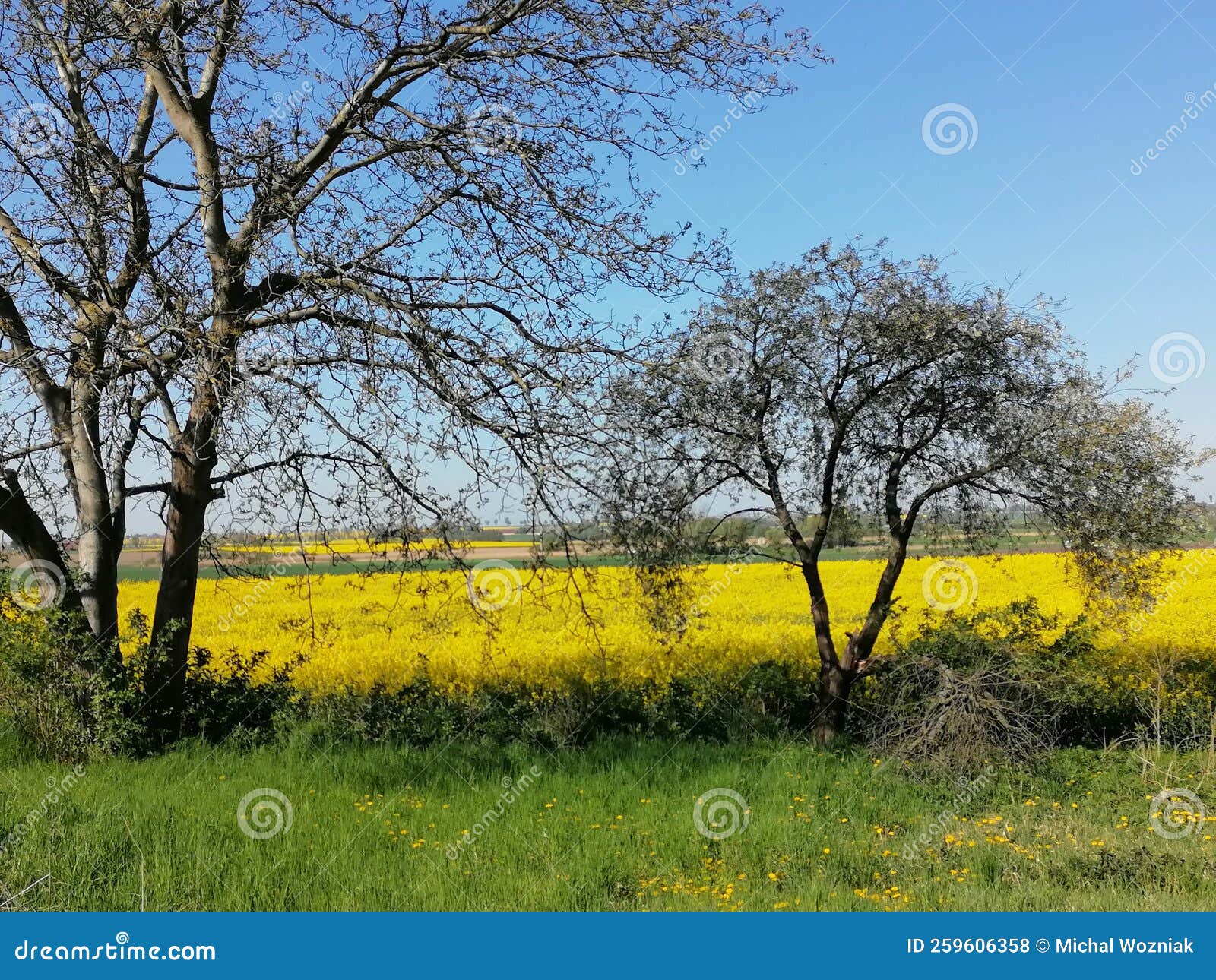 Countryside Landscape, Spring Time in Poland Stock Photo - Image of ...