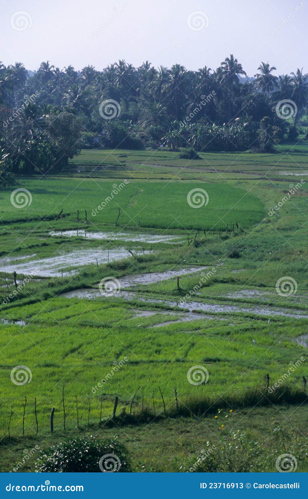 Countryside Landscape, Sri Lanka Stock Image - Image of lanka, meadows ...