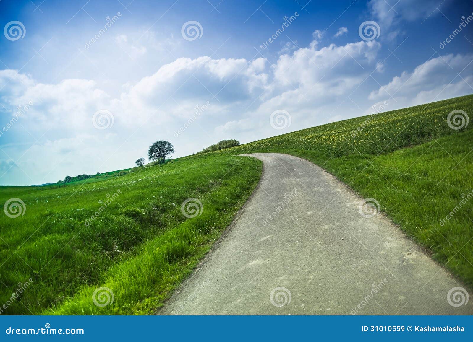 Countryside landscape stock image. Image of field, landscape - 31010559