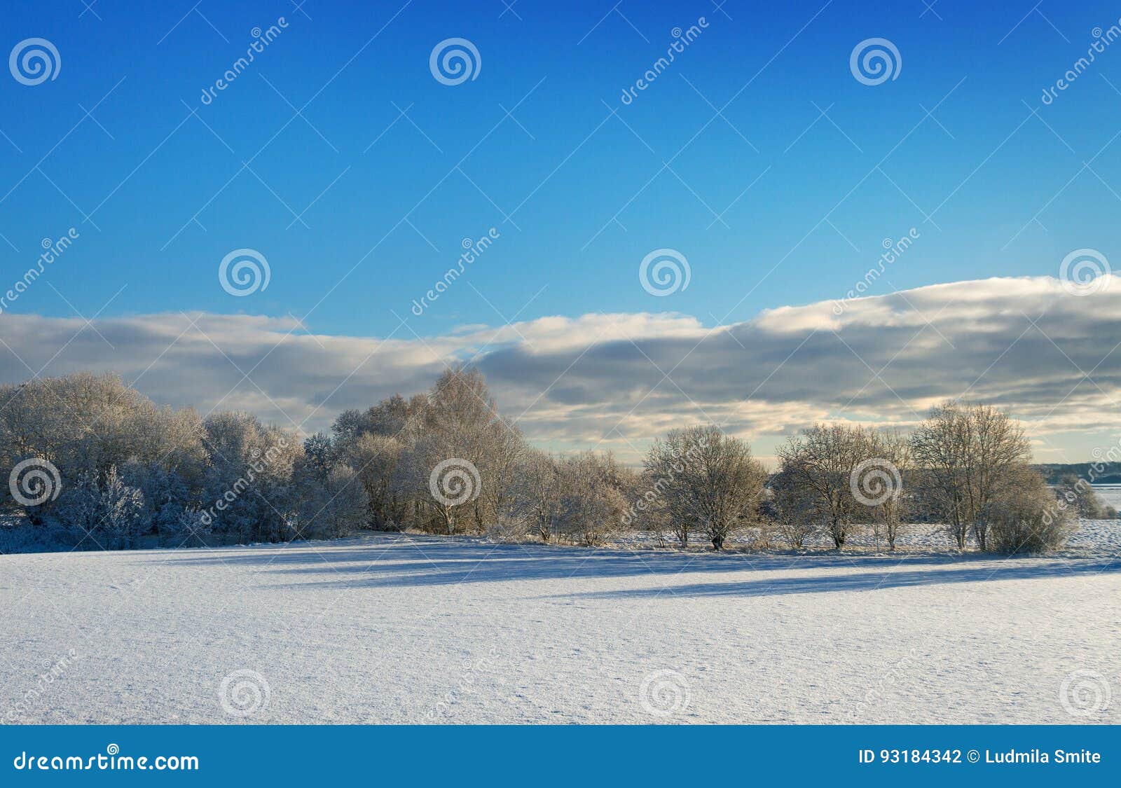 Countryside Landscape in Winter. Stock Photo - Image of outdoor, branch ...
