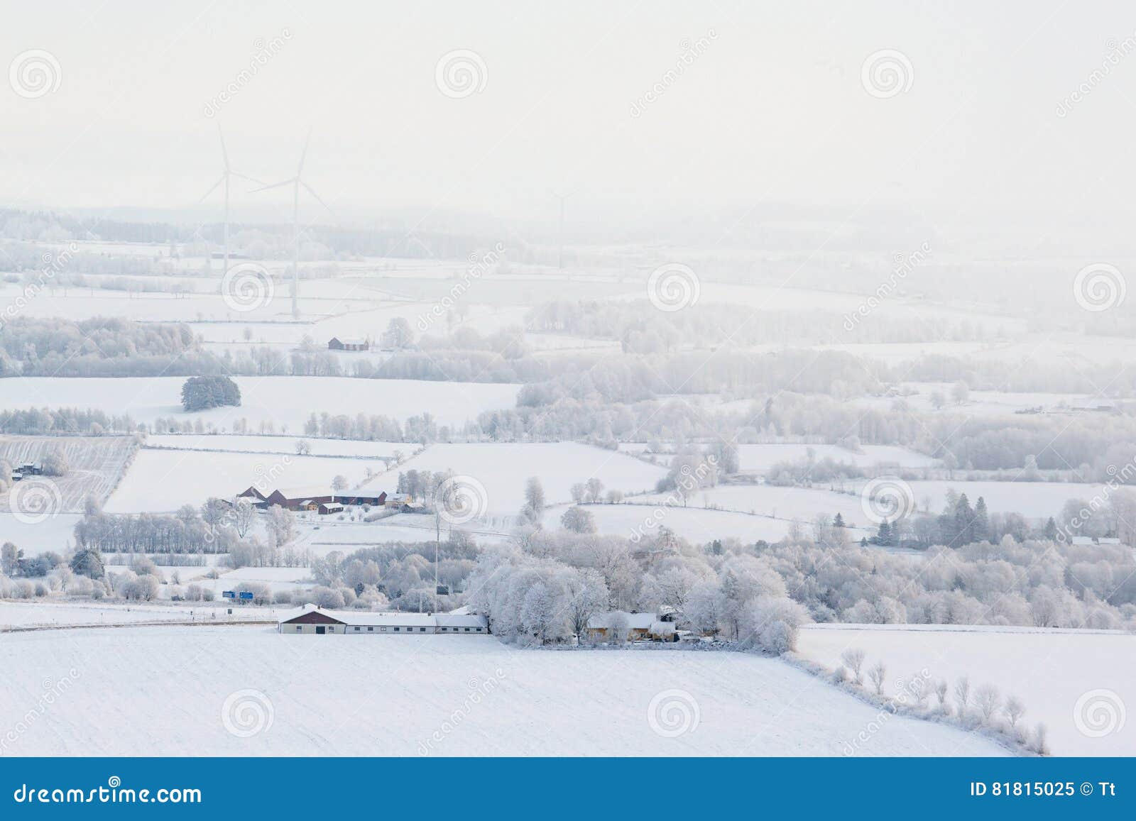 Countryside Landscape at Winter Stock Image - Image of land, grove ...