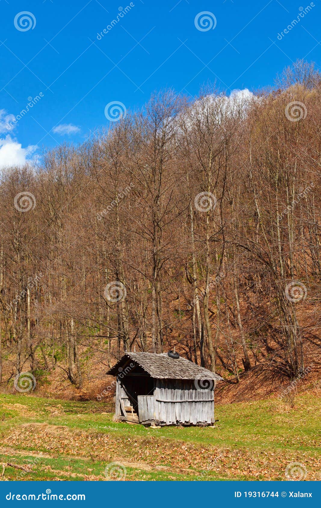 Countryside Landscape with Wooden Shack and Forest Stock Photo - Image ...