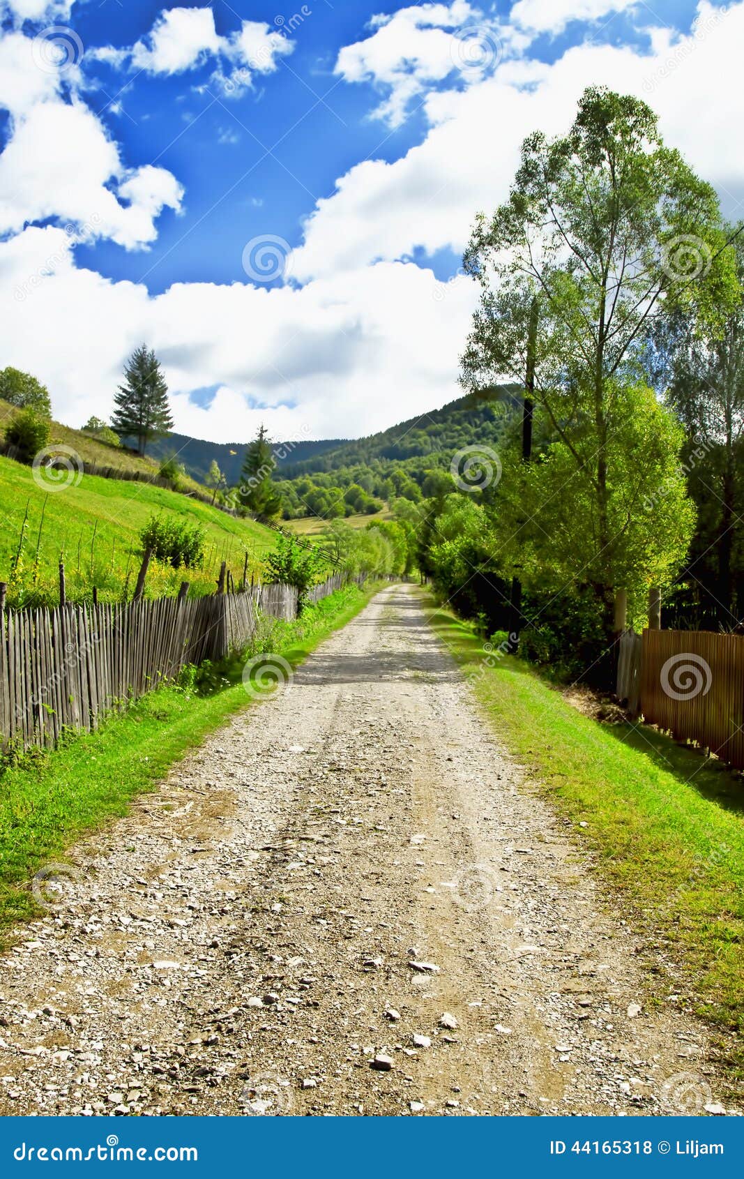 Countryside Lane stock photo. Image of outdoor, grass - 44165318