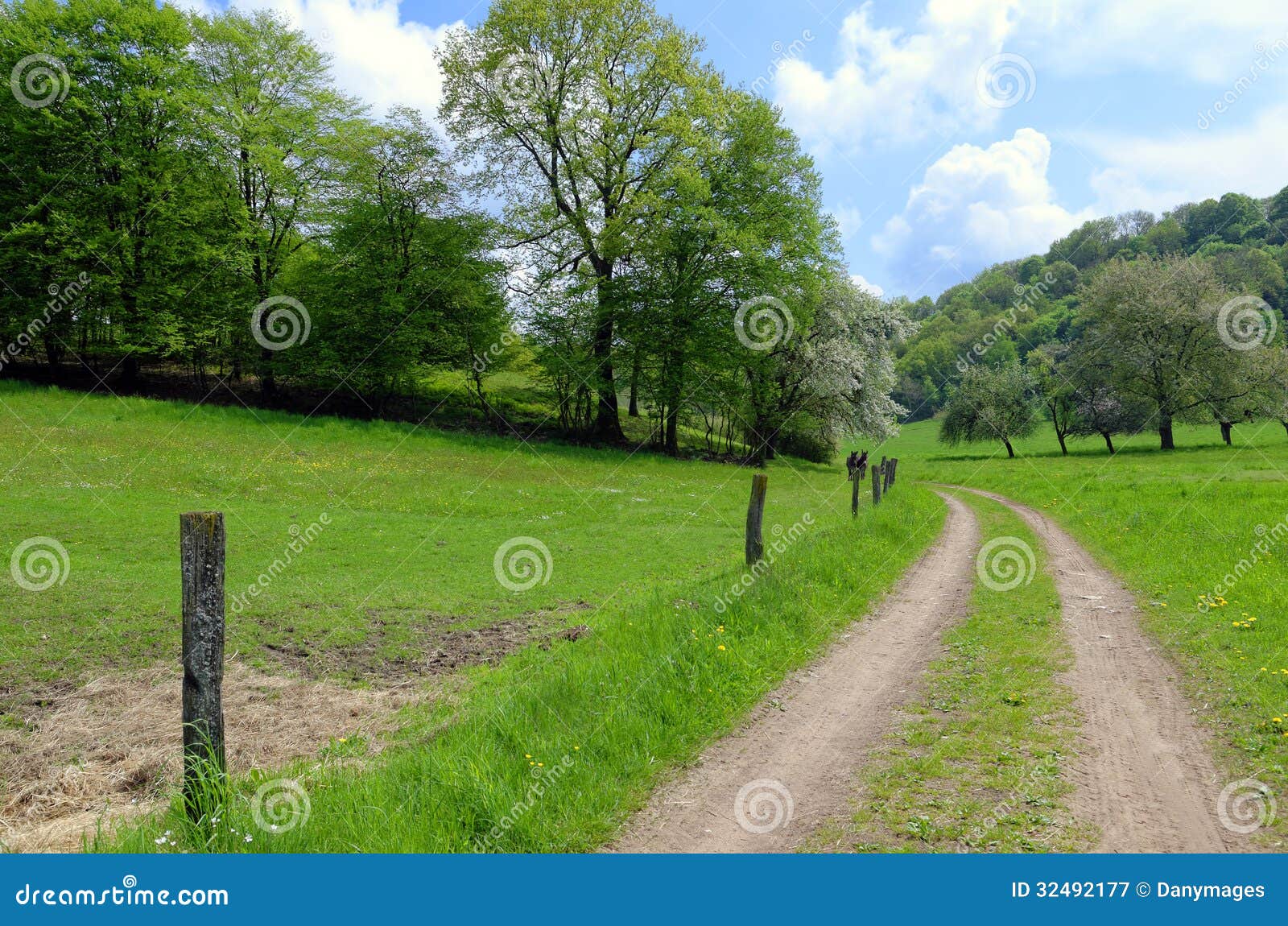 Countryside lane stock image. Image of pasture, view - 32492177