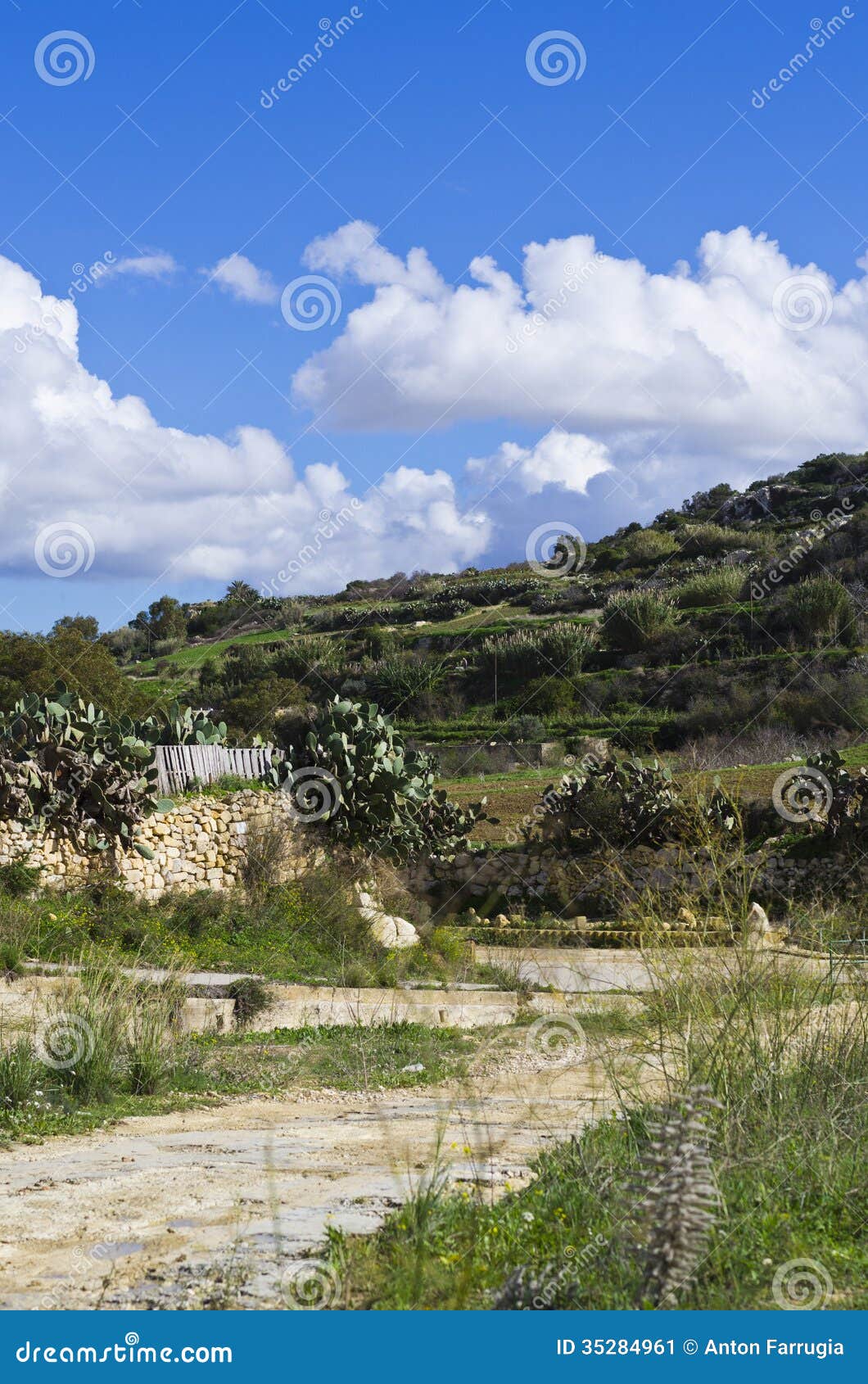 Countryside - Malta stock image. Image of outdoor, agriculture - 35284961