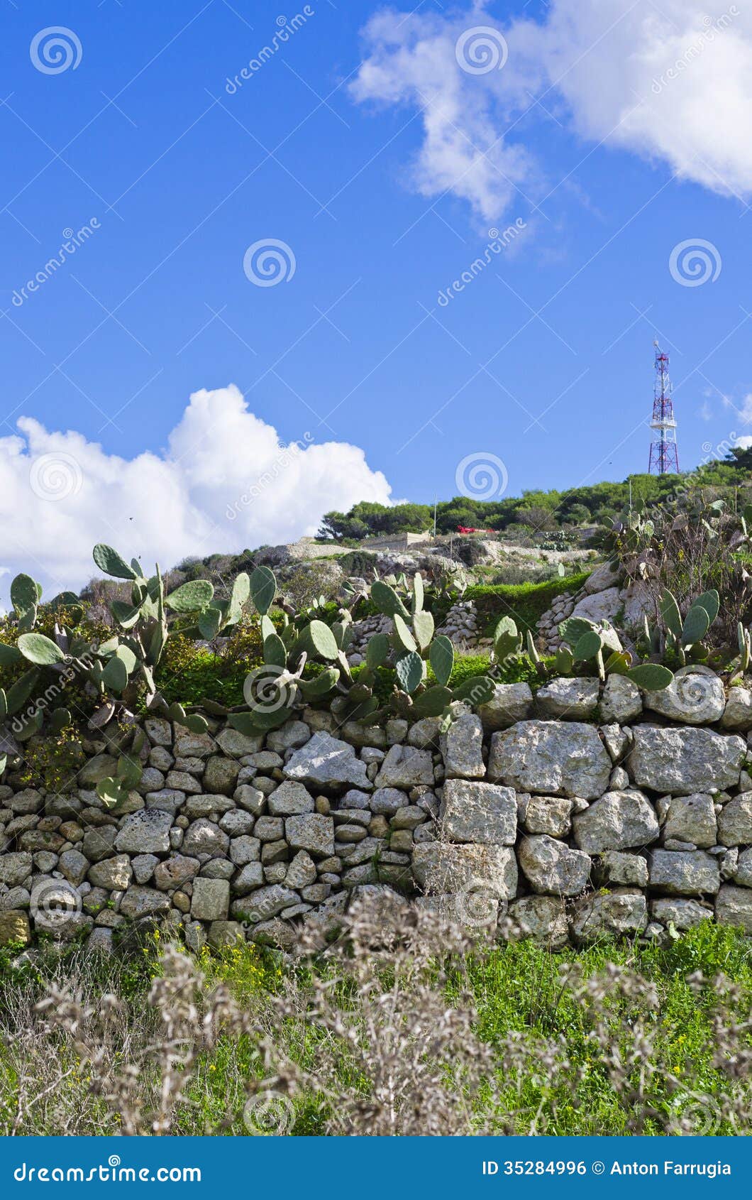 Countryside - Malta stock photo. Image of island, mediterranean - 35284996
