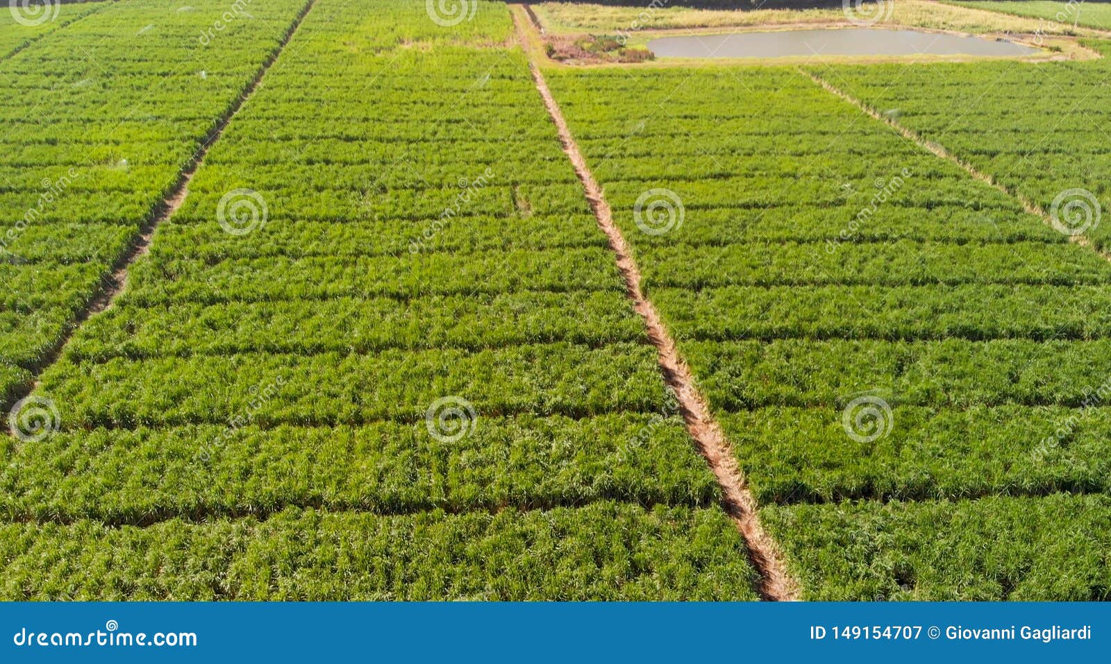 Countryside of Mauritius - Aerial View with Mt Rempart Meadows Stock ...