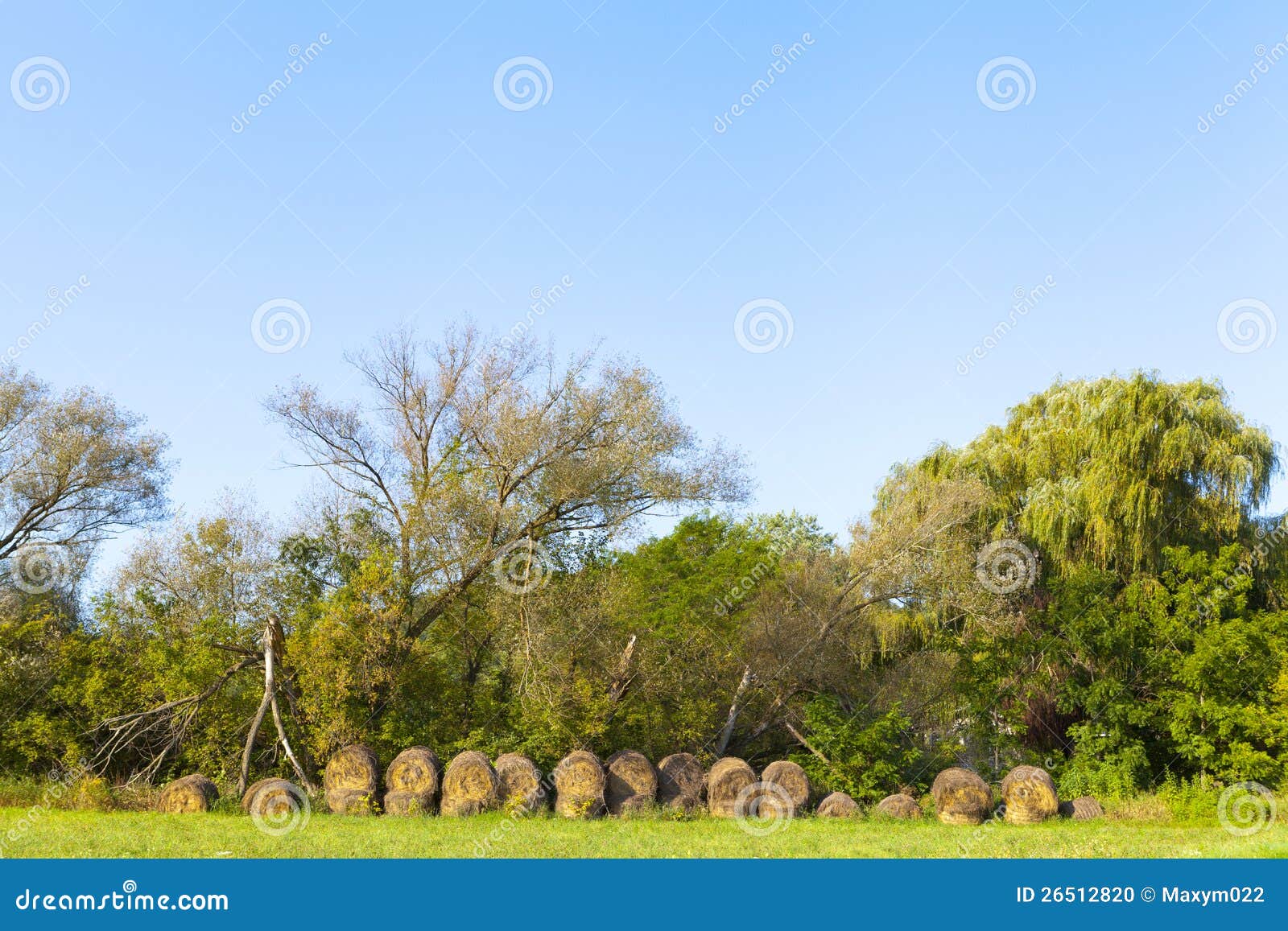 Countryside in the morning stock photo. Image of bundles - 26512820