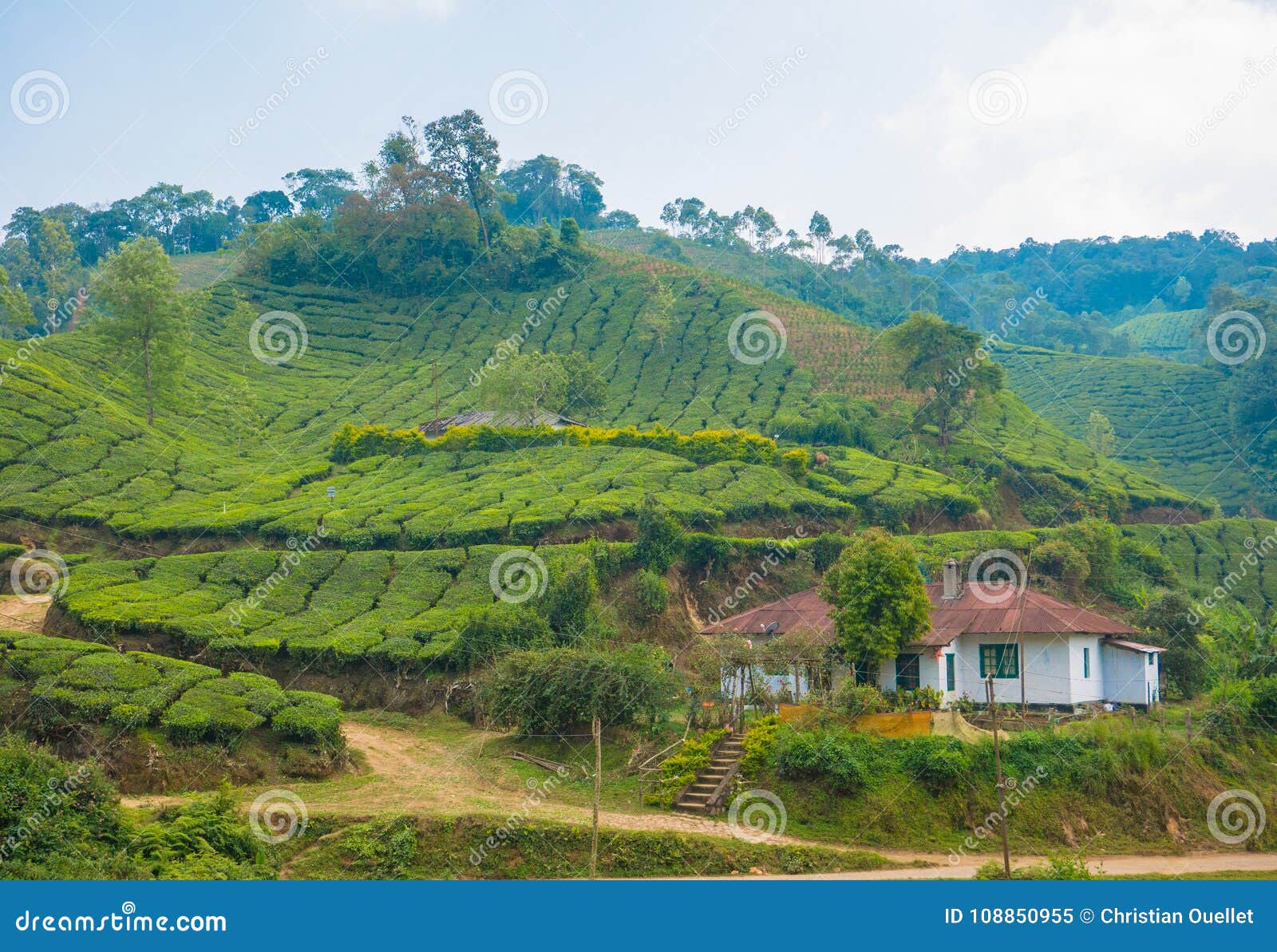 The Countryside of Munnar, Kerala, India Editorial Image - Image of ...