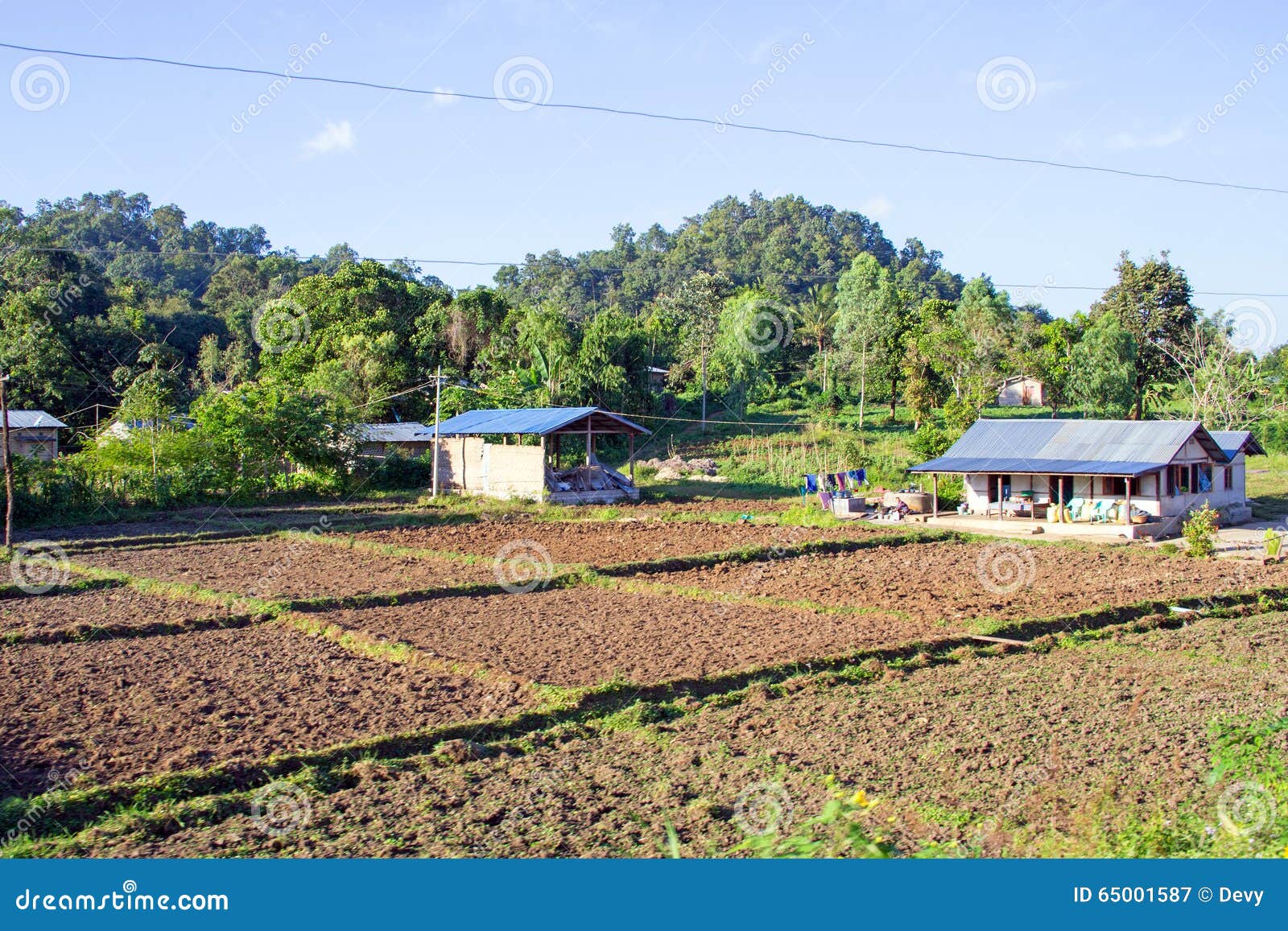 In the Countryside from Myanmar Stock Image - Image of agriculture ...