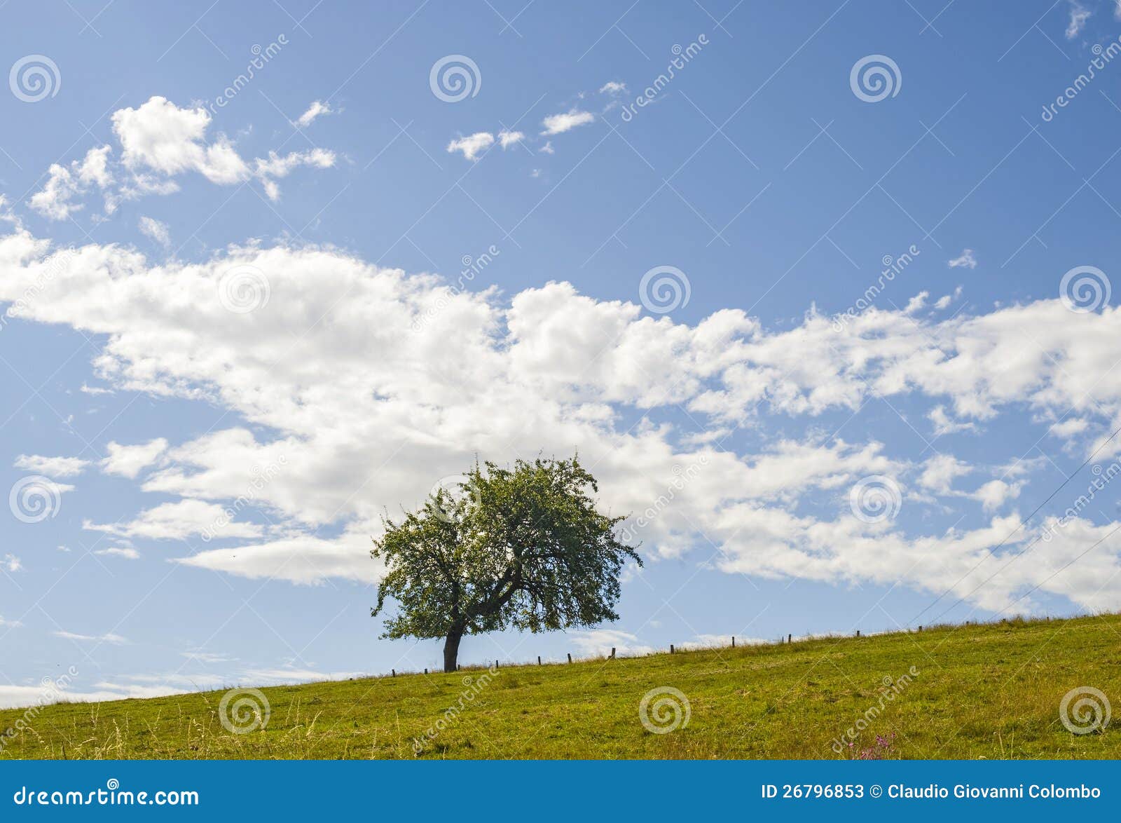 Countryside near Le Mans stock image. Image of outdoor - 26796853