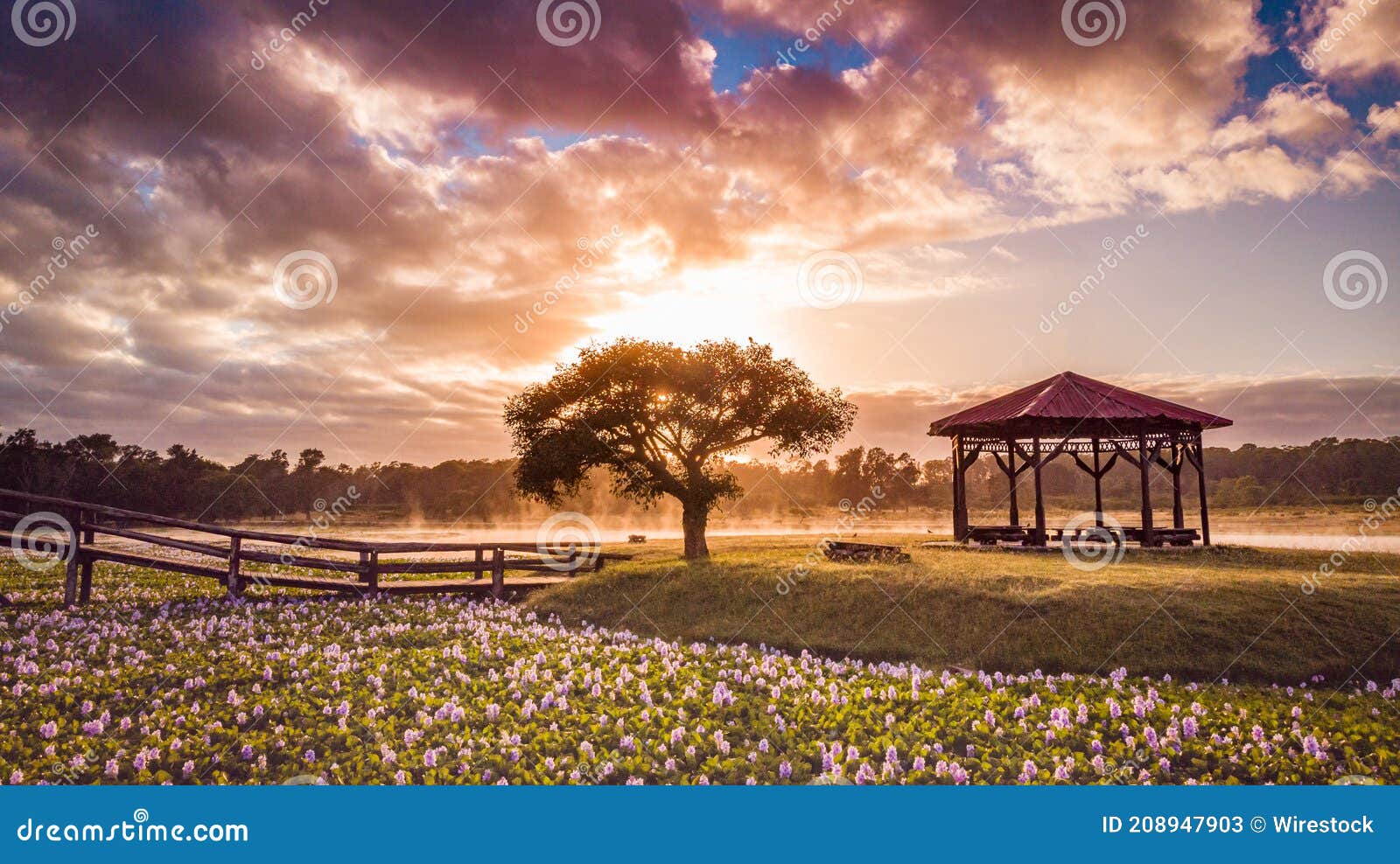 Countryside Open-air Structure by the Tree and Flowers Under the Clouds ...