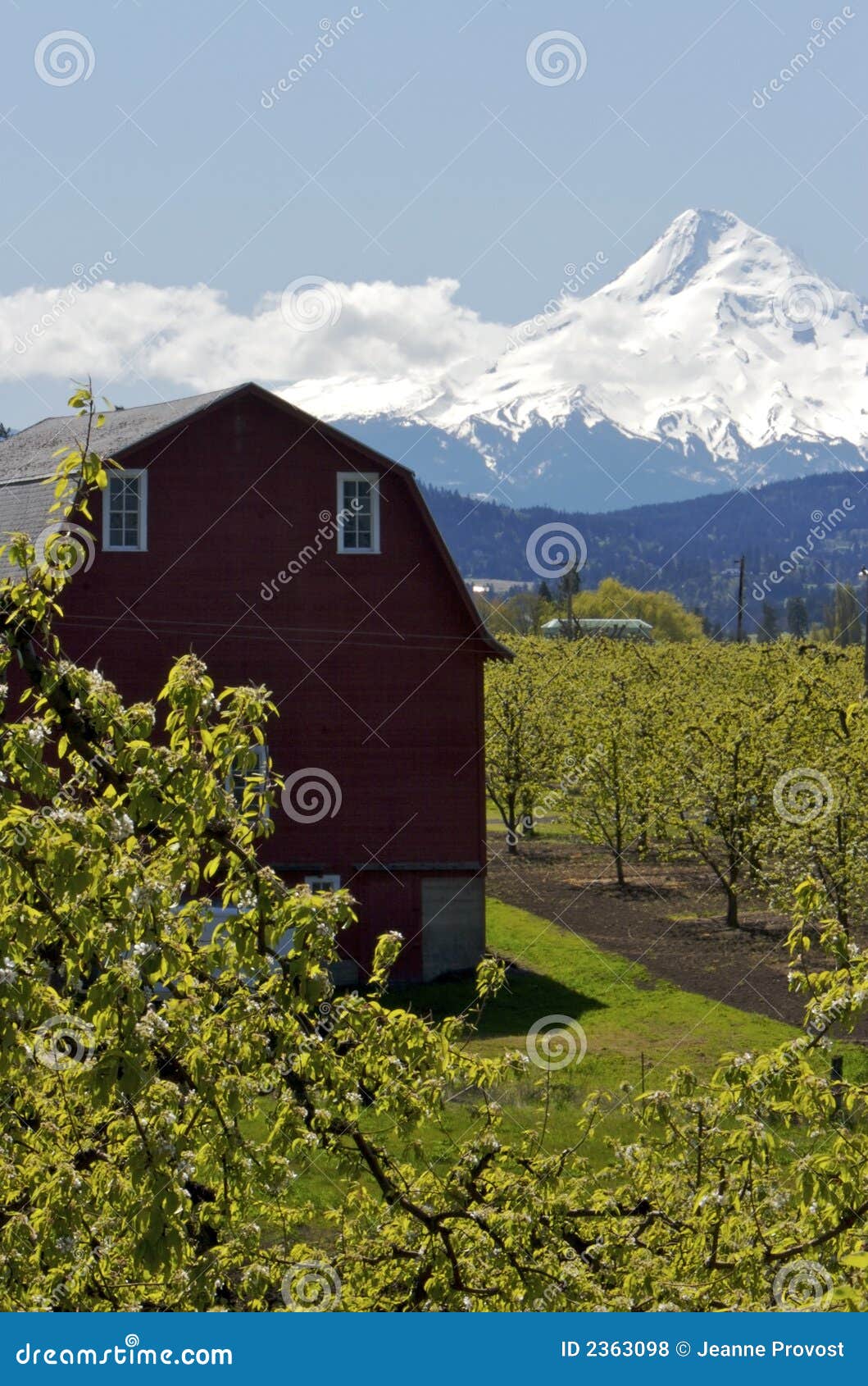 Countryside in Oregon stock photo. Image of mountain, skies - 2363098