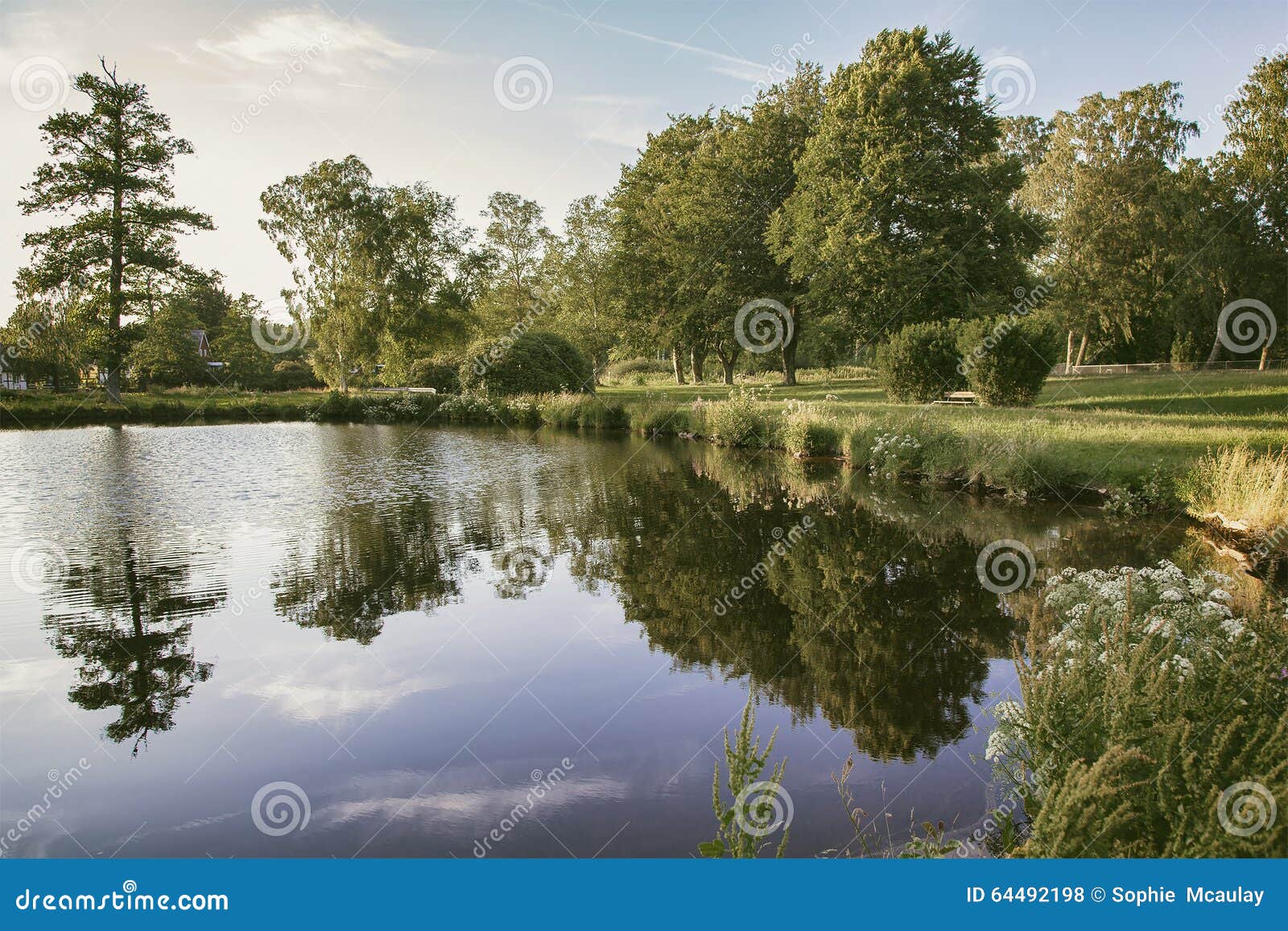 Countryside park pond stock photo. Image of blue, calm - 64492198