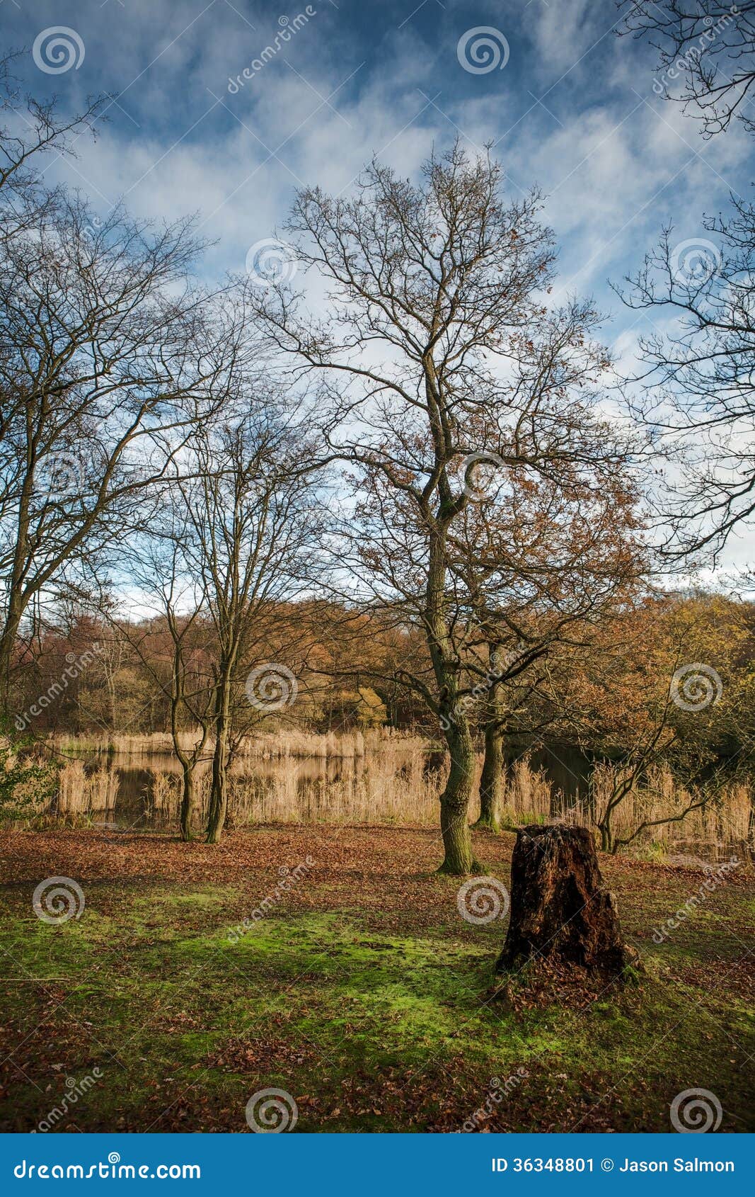 Countryside park stock image. Image of landscapes, textured - 36348801