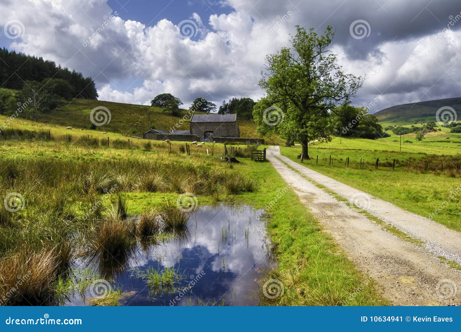 Countryside Path stock image. Image of beautiful, receding - 10634941