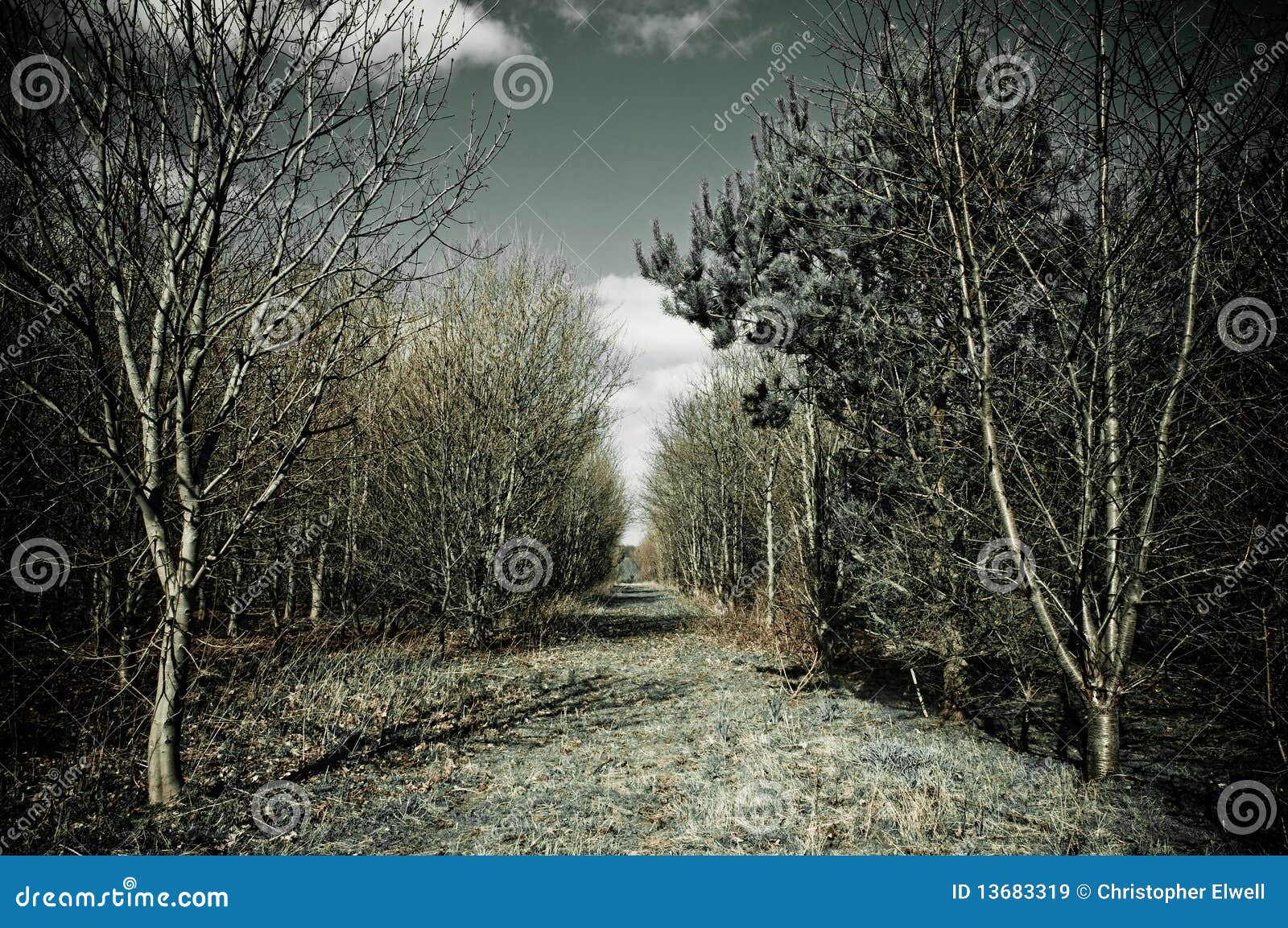 Walkway In Creepy Abandoned Building, Dark Scary Corridor With Many ...