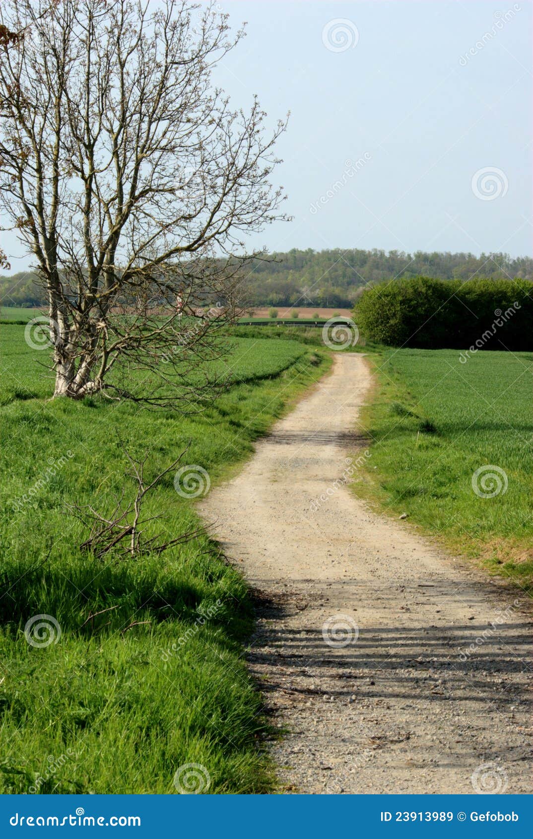 Countryside path stock image. Image of nature, tree, walk - 23913989